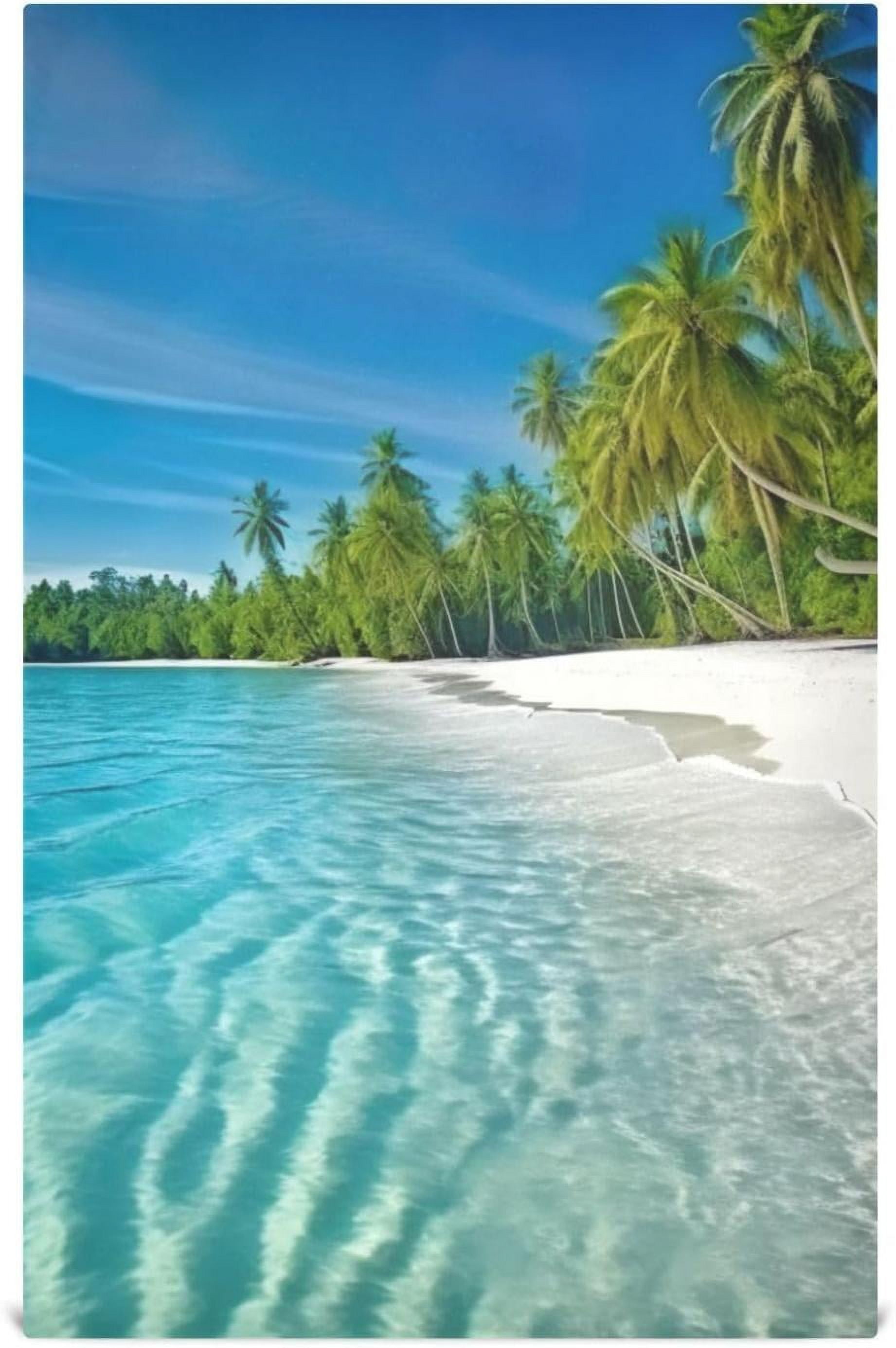 Coolnut Beach Scene Kitchen Towels, 18 x 28 Inch Super Soft and ...