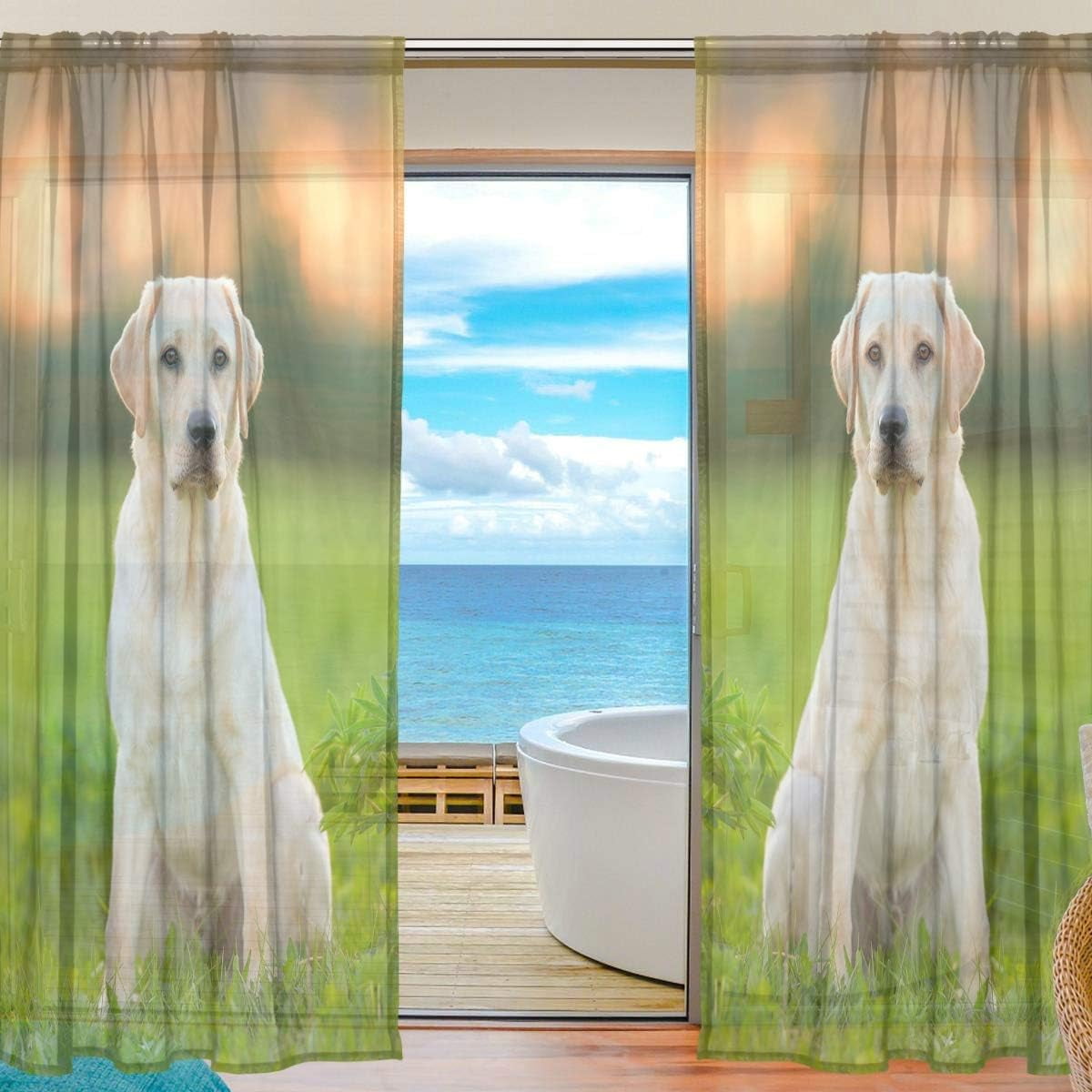 Coolnut Beautiful Labrador Puppy Semi Sheer Curtains Window Voile ...