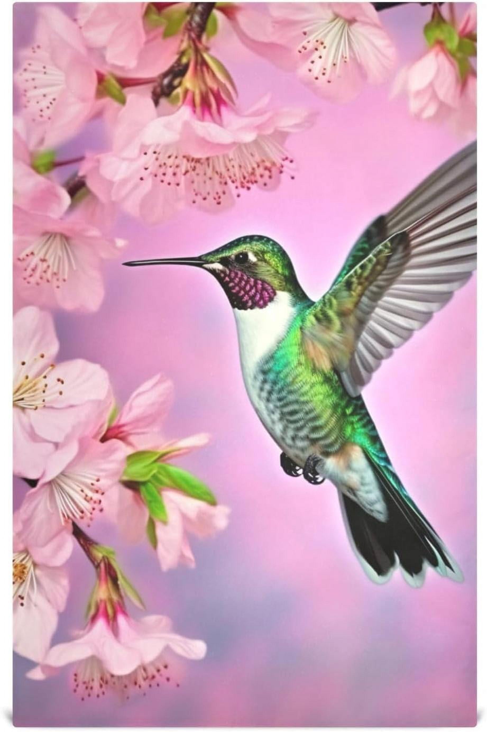 Coolnut Bird Hummingbird Kitchen Towels, 18 x 28 Inch Super Soft and ...