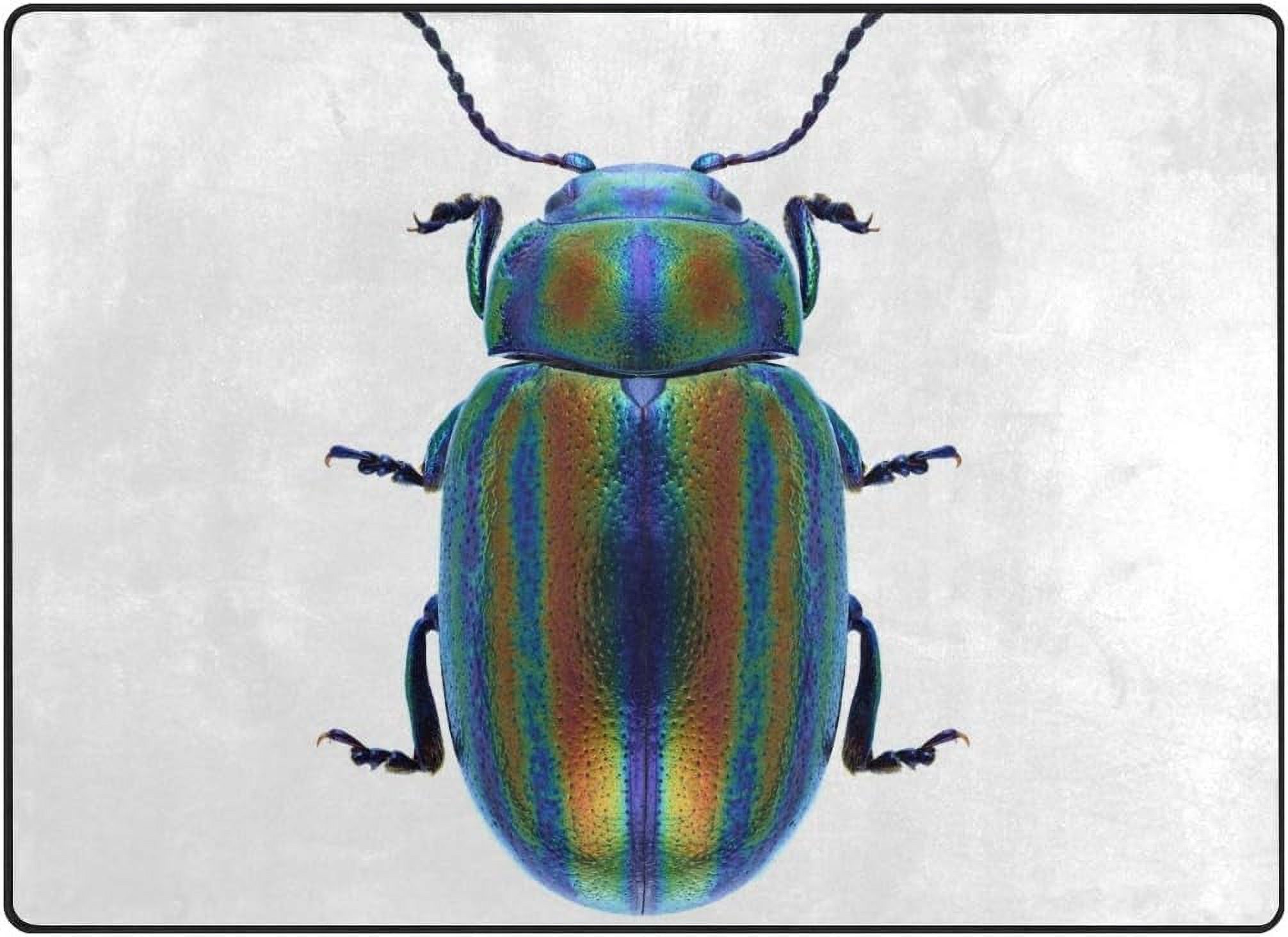 Coolnut Colorful Beetle Area Rug Carpet 5x4 Light Weight Polyester for ...