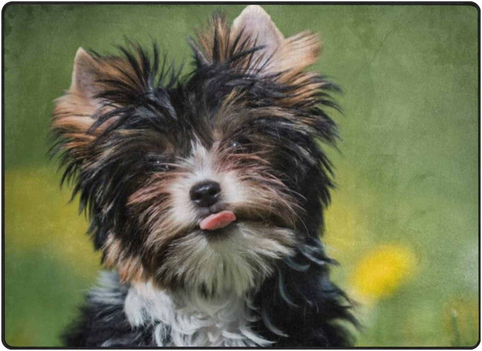 Coolnut Cute Yorkshire Terrier Puppy Area Rug Carpet 5x4 Light Weight ...