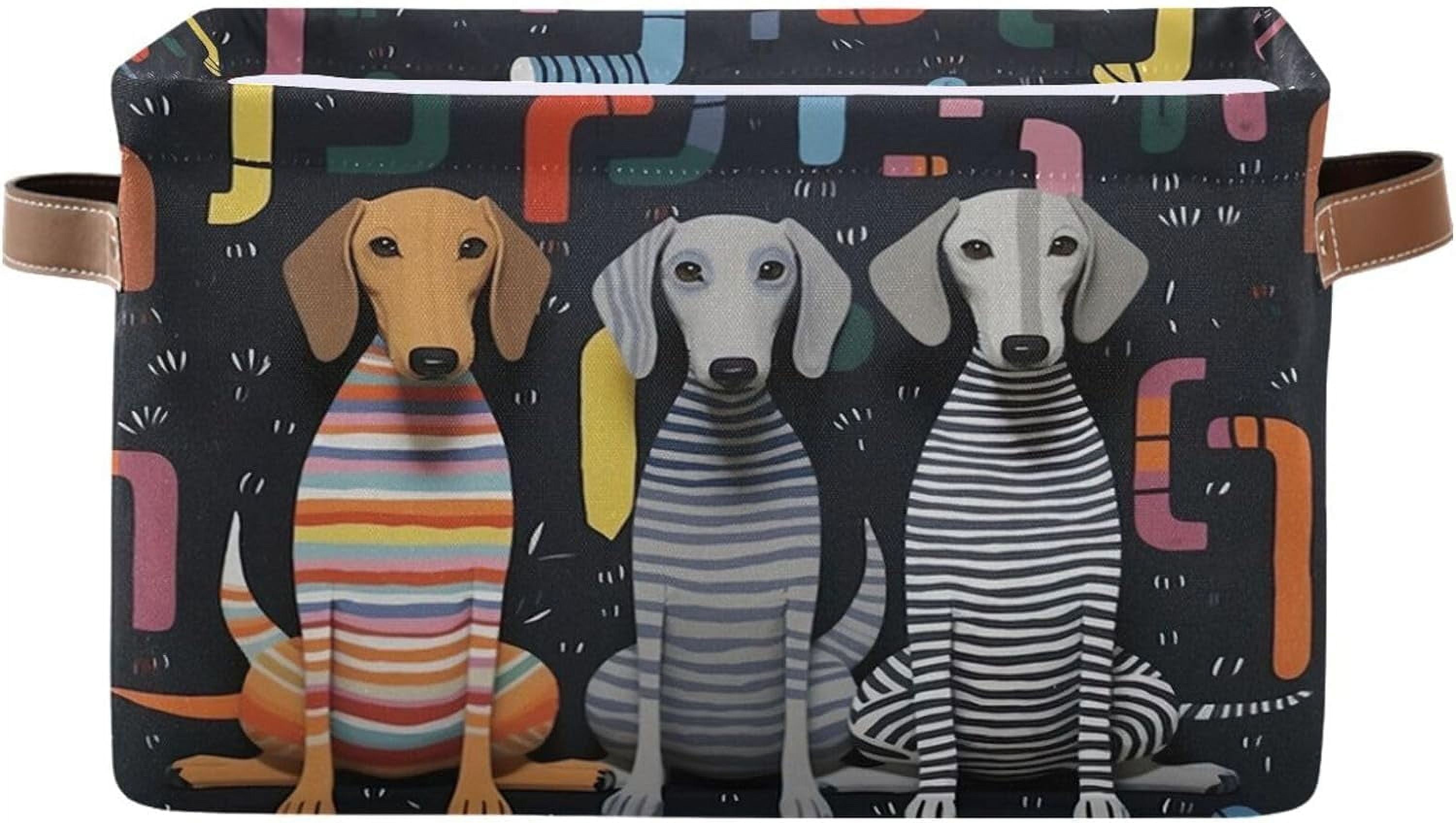 Coolnut Dachshund Dogs Foldable Storage Basket for Shelves, Collapsible ...