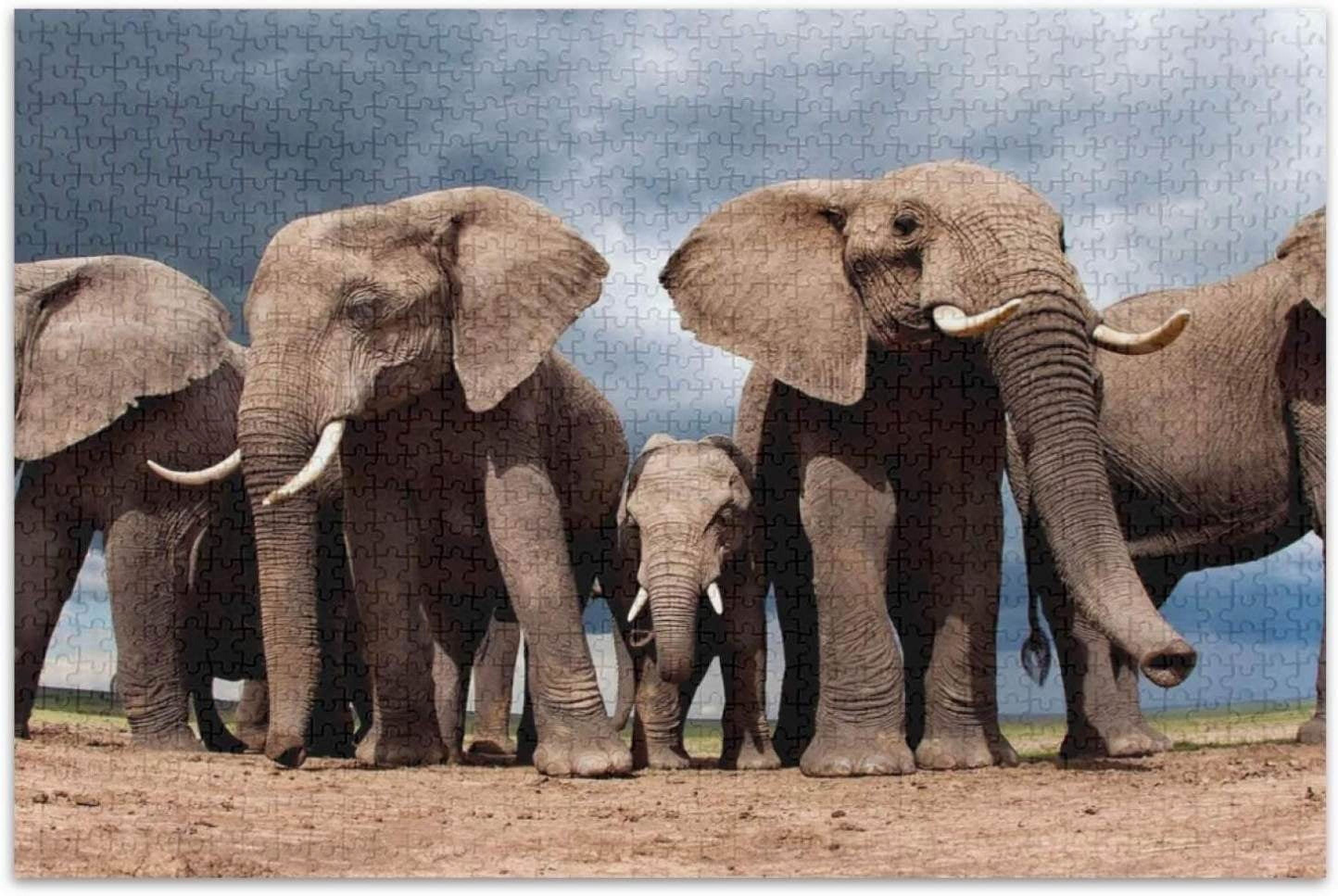 Coolnut Elephant Jigsaw Puzzles 500 Pieces Paper Puzzle Artwork Family ...