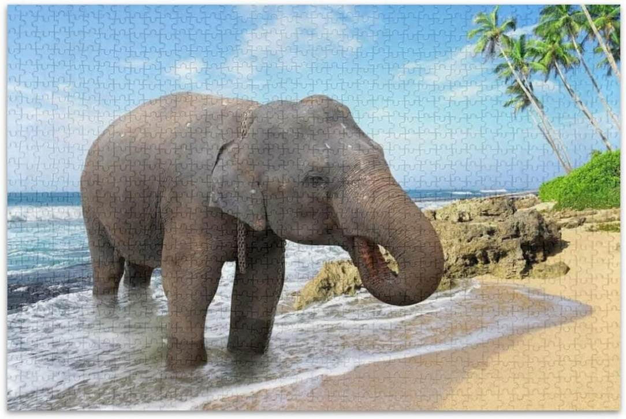 Coolnut Elephant Jigsaw Puzzles 500 Pieces for Adults, 20.5" x 14.9 ...