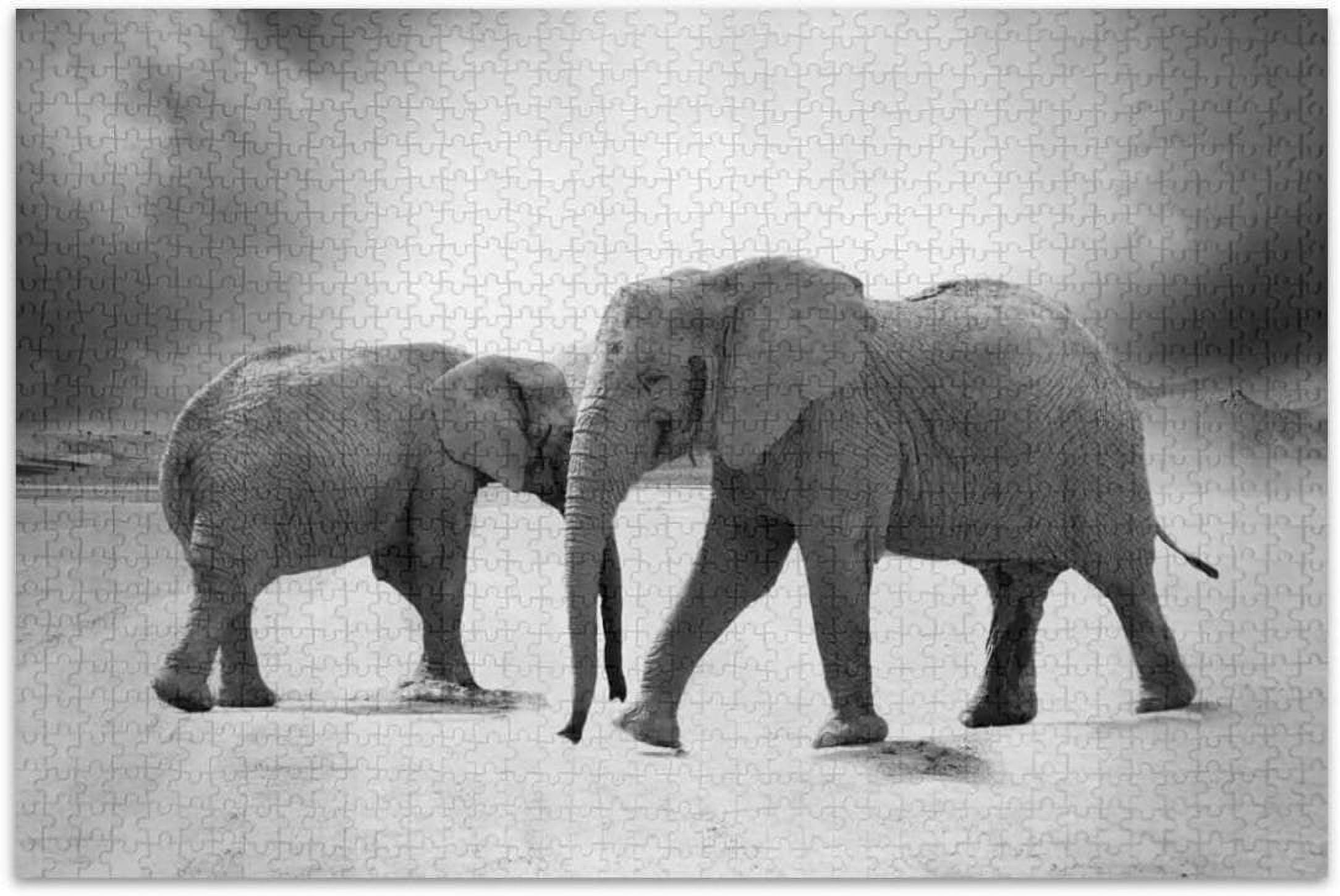 Coolnut Elephant Jigsaw Puzzles 500 Pieces for Adults, 20.5" x 14.9 ...