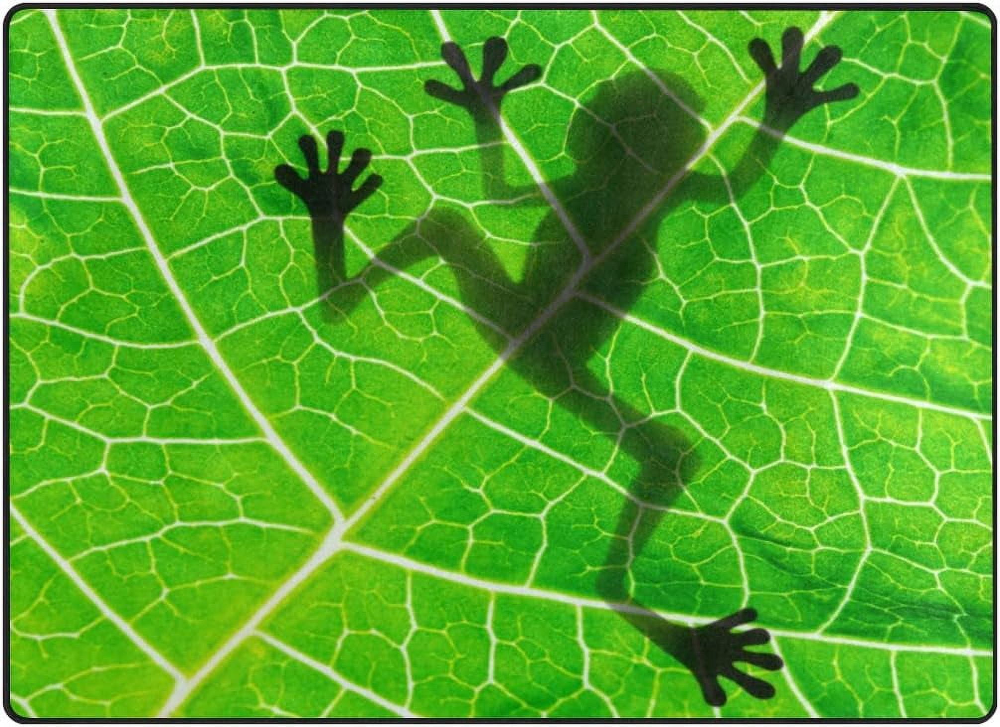 Coolnut Frog Shadow On Leaf Area Rug Carpet, Light Weight Polyester ...