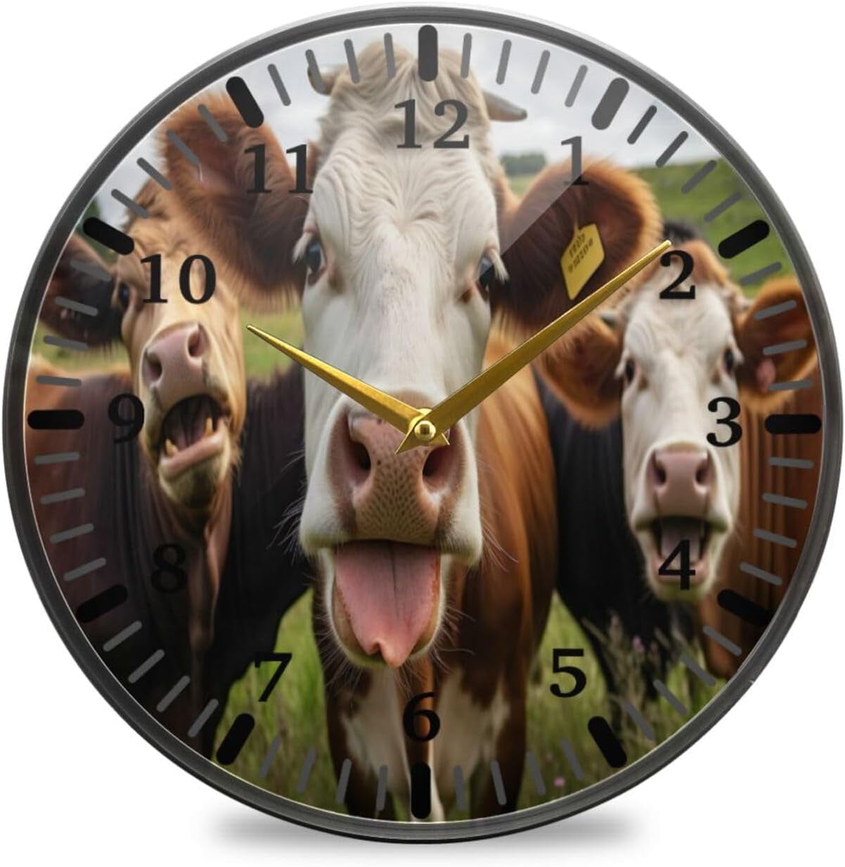 Coolnut Funny Cows Wall Clock Silent Non-Ticking Round 10 Inch Quartz ...