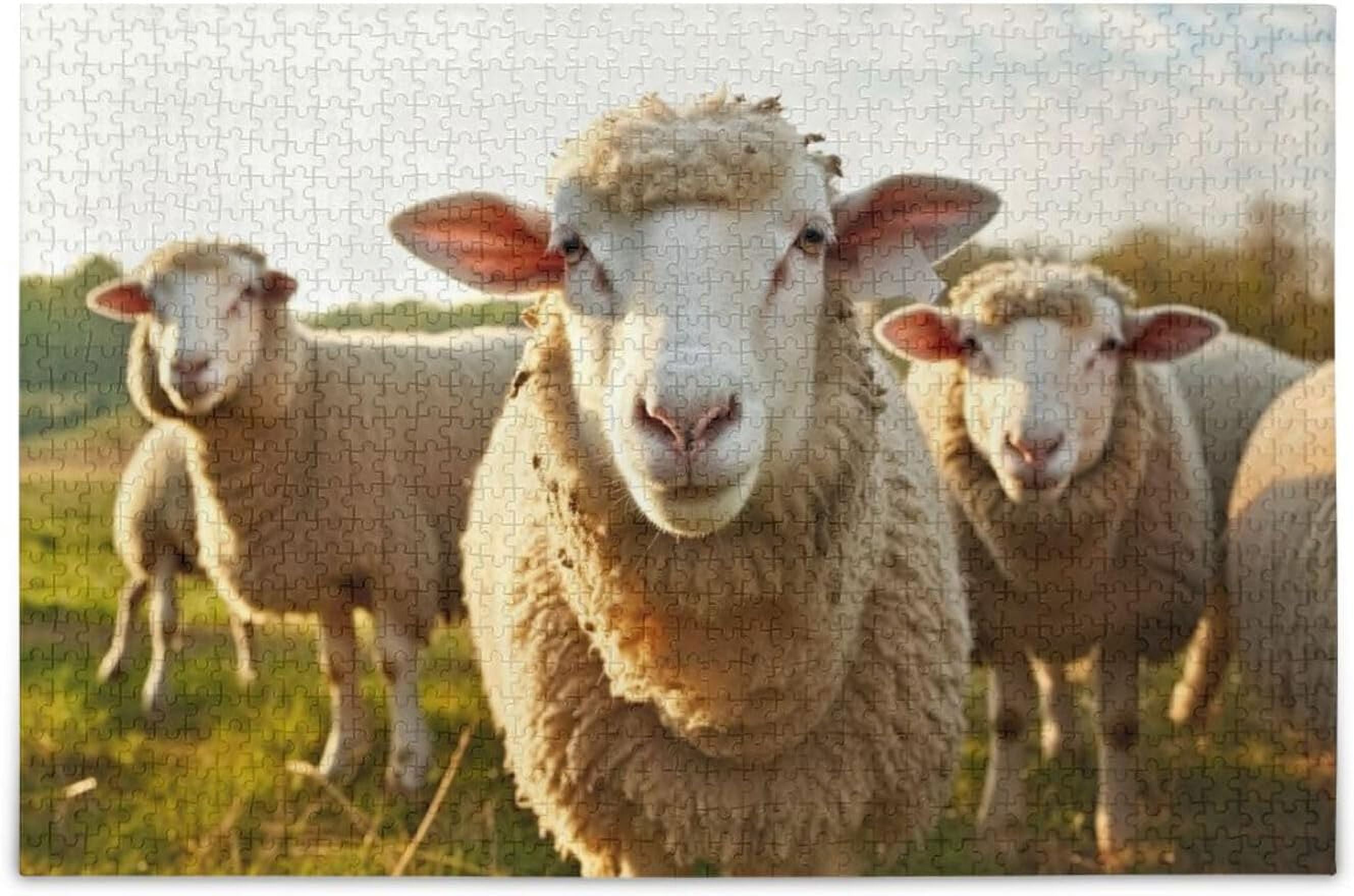 Coolnut Funny Sheep Pattern Jigsaw Puzzles for Adults 1000 Piece, Puzzles for Adults 1000 Piece ...