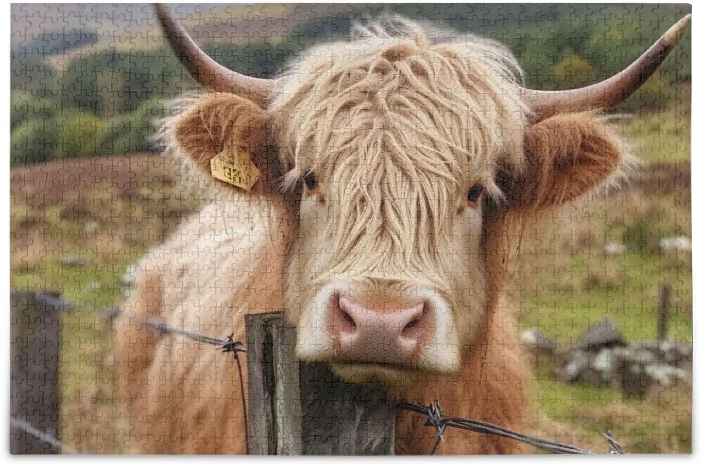 Coolnut Hairy Highland Cow Puzzle 500 Pieces - Wooden Jigsaw Puzzles ...