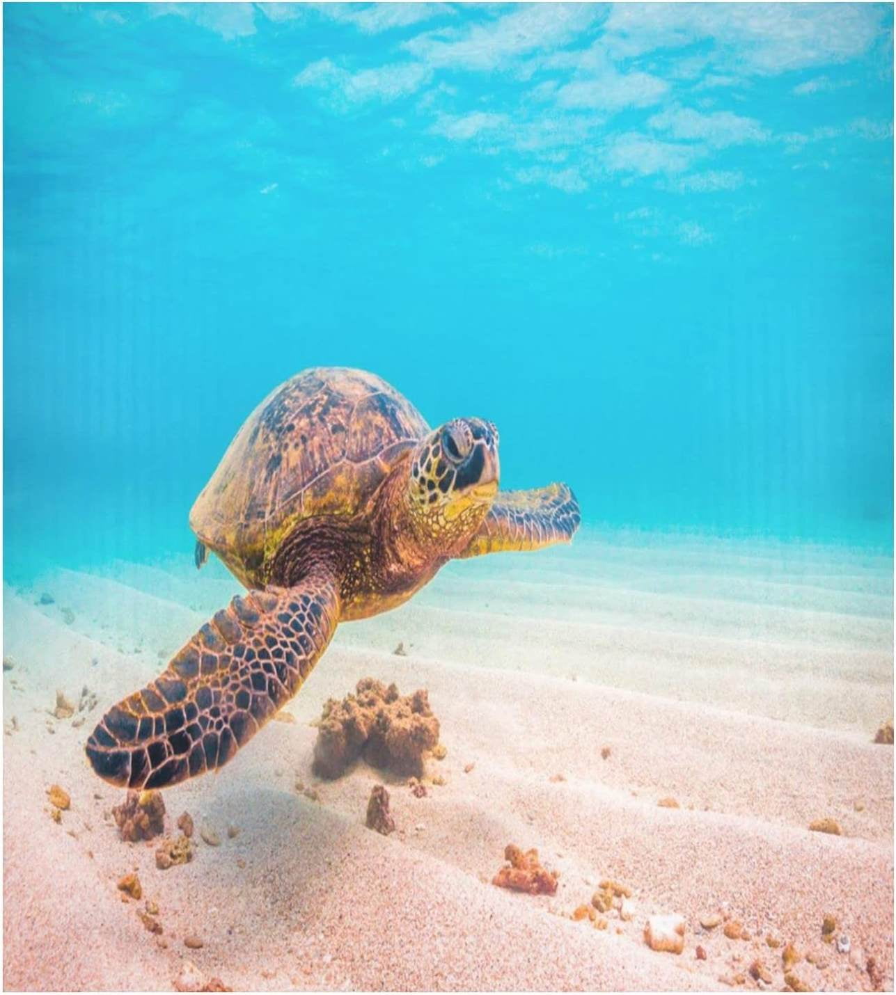 Coolnut Hawaiian Green Sea Turtle Dishwasher Magnet Sticker ...