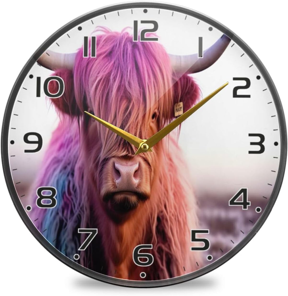 Coolnut Highland Cow Colorful Wall Clock Round Silent Non Ticking ...