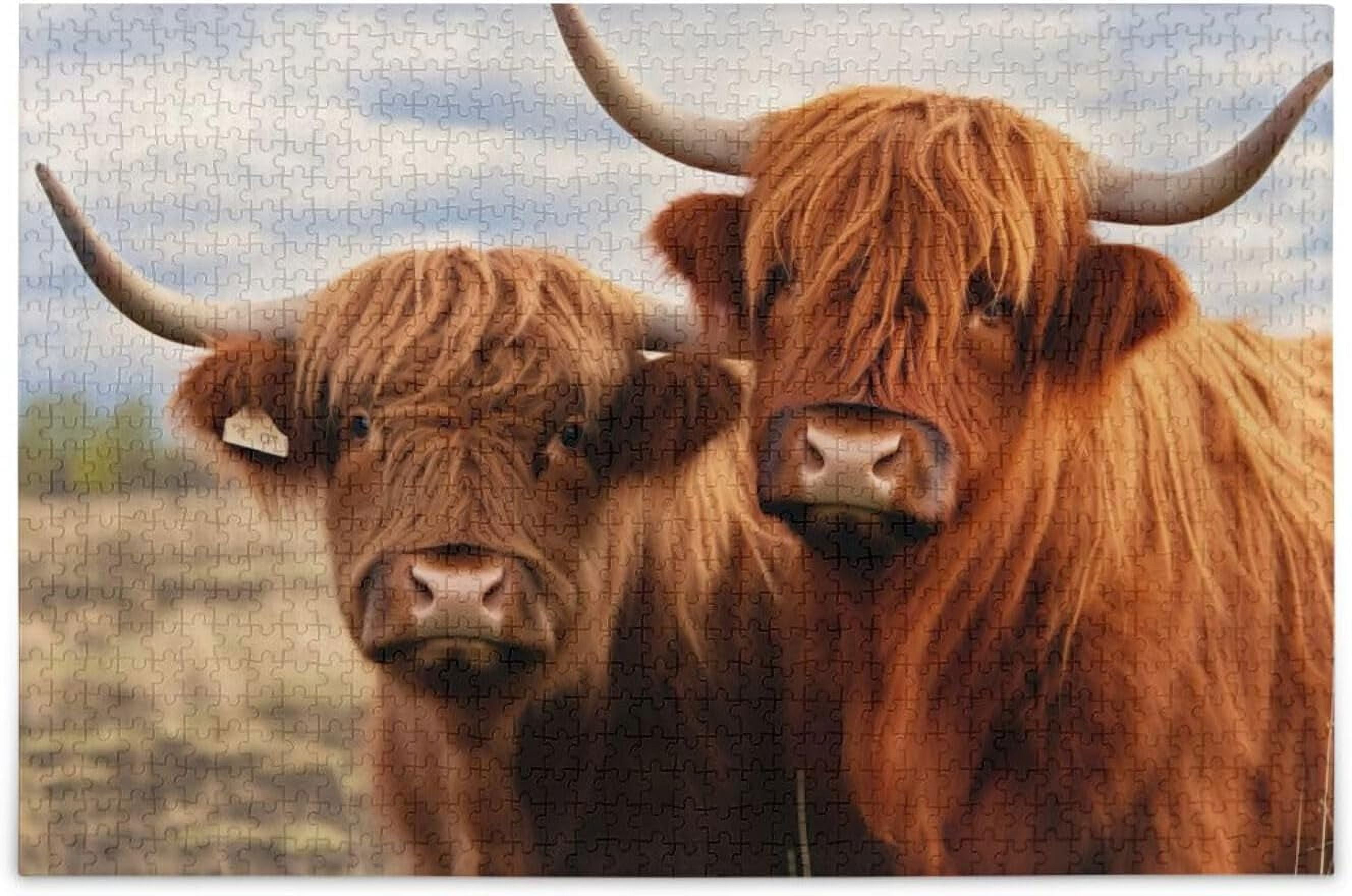 Coolnut Highland Cow Jigsaw Puzzle for Adults Teens Kids, 1000 Pieces ...