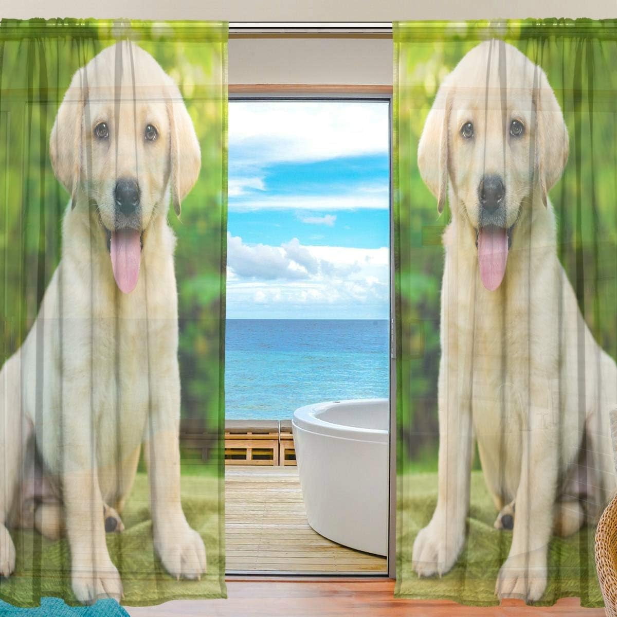Coolnut Labrador Retriever Puppy in The Yard Semi Sheer Curtains Window ...