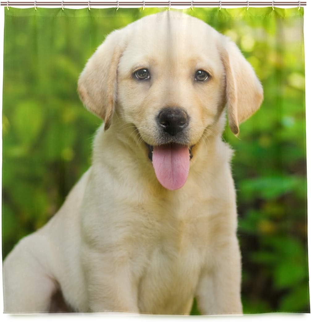 Coolnut Labrador Retriever Puppy in The Yard Bath Shower Curtain Liners ...