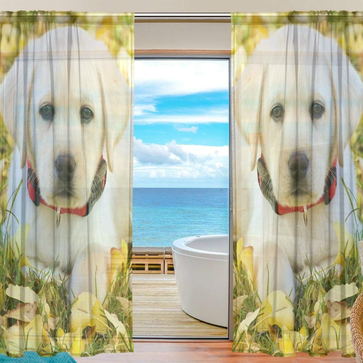 Coolnut Labrador Retriever with Red Collar Semi Sheer Curtains Window ...