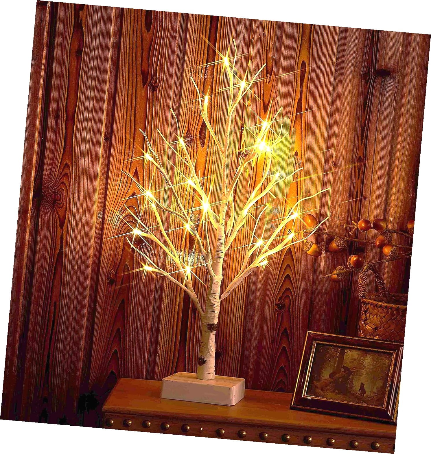 Coolnut Lighted Tree with Timer, Tabletop Birch Tree with Lights 18IN ...