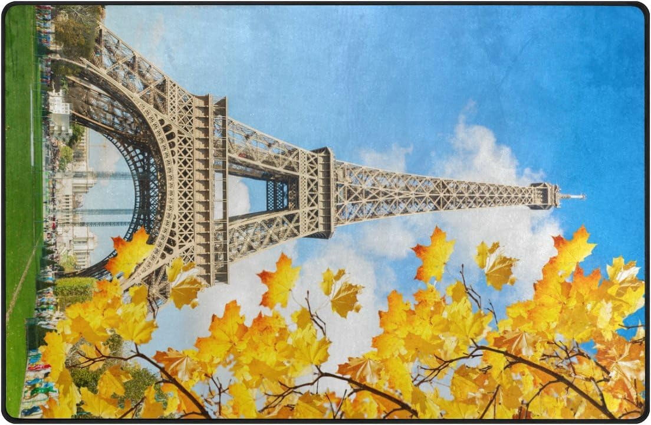 Coolnut Lightweight Carpet Mats, 31 x 20 inches Area Soft Rugs Floor ...