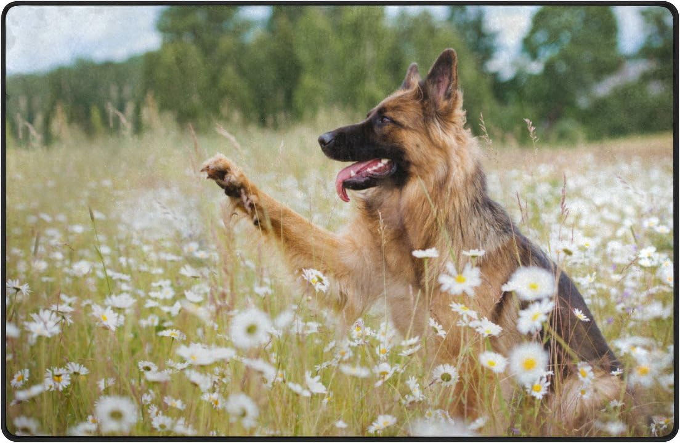 Coolnut Lightweight Carpet Mats, 31 x 20 inches Area Soft Rugs Floor ...