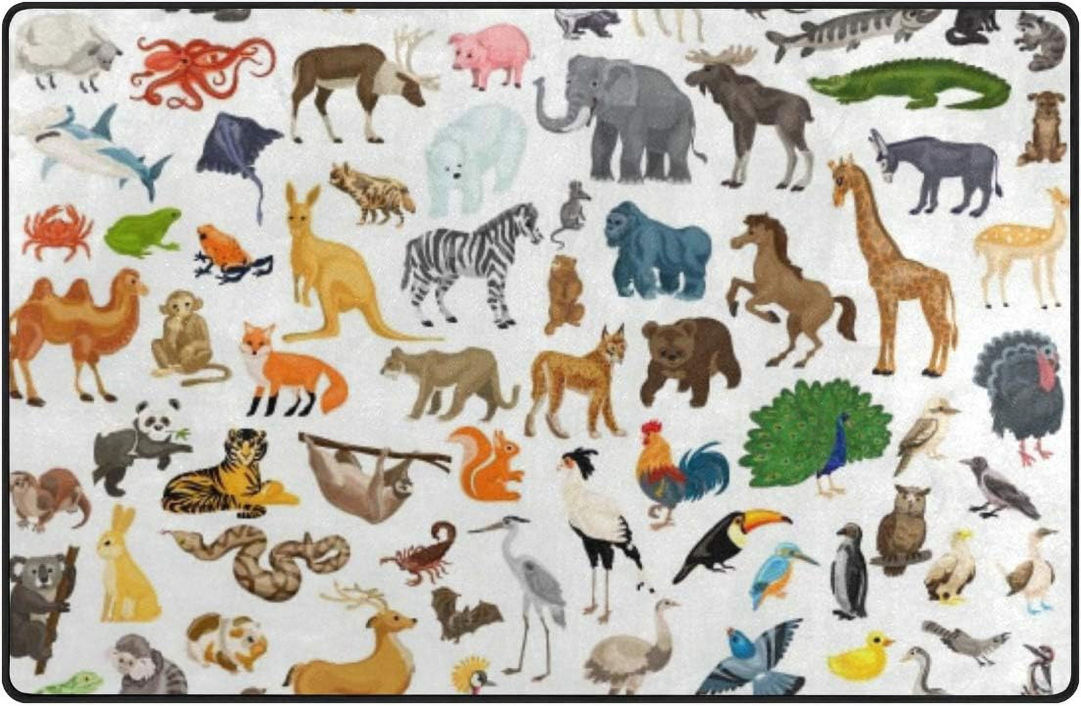 Coolnut Lightweight Soft Area Rugs 31x20 Inch, Animals Icon White Floor ...