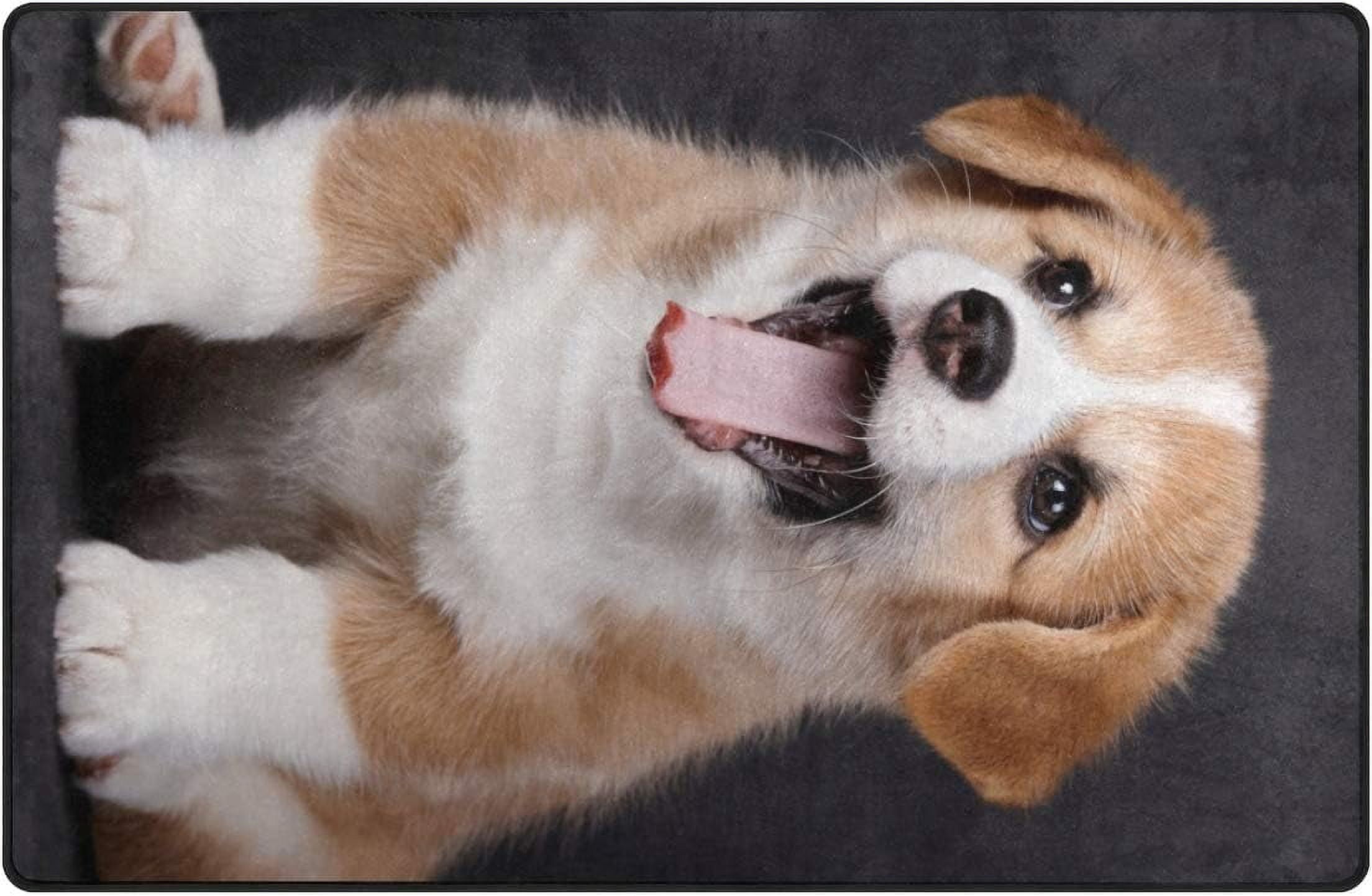 Coolnut Lightweight Soft Area Rugs 31x20 Inch, Corgi Puppies On Black ...