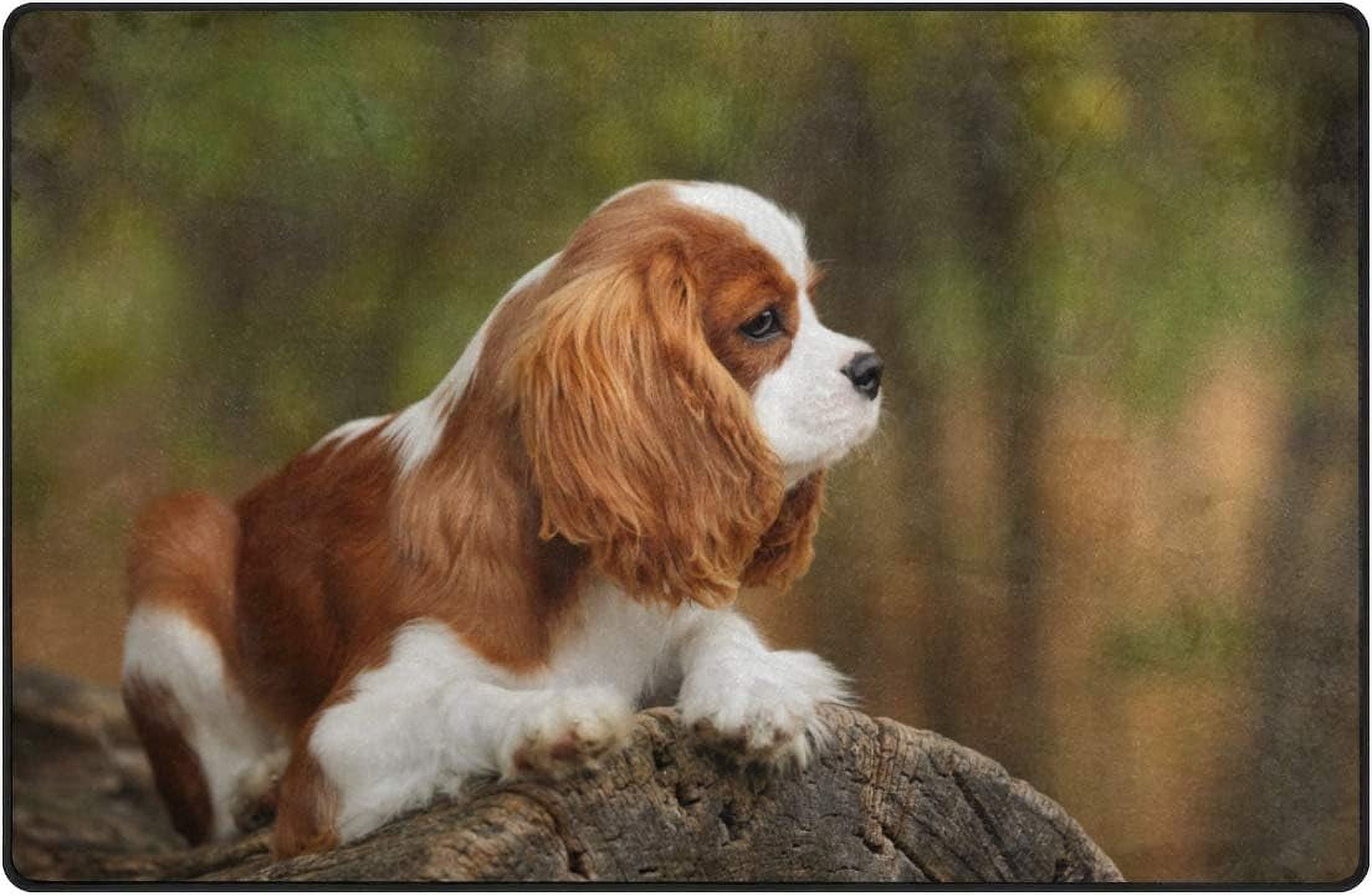 Coolnut Lightweight Soft Area Rugs 31x20 Inch, Dog On The Stump Floor ...