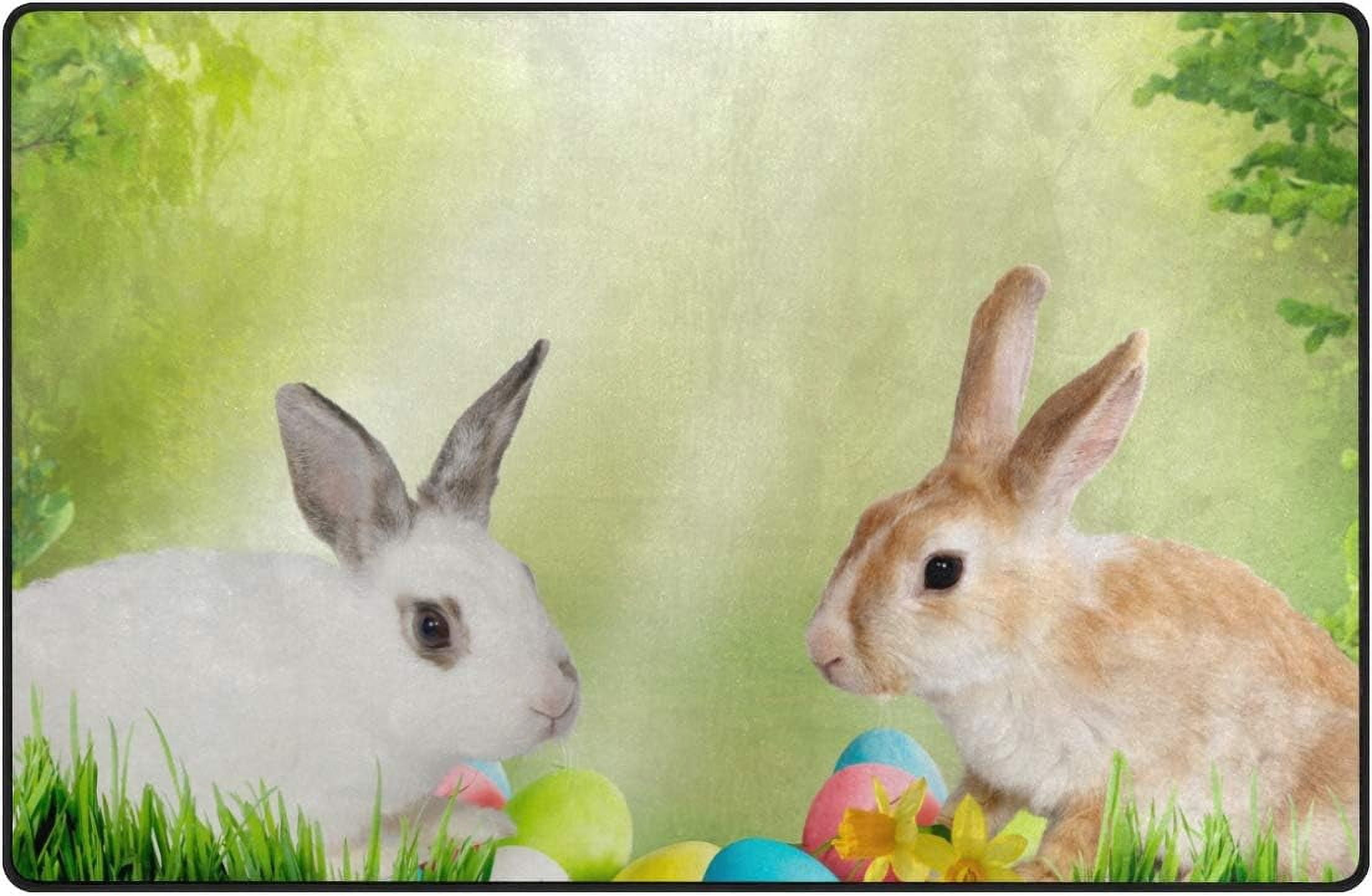 Coolnut Lightweight Soft Area Rugs 31x20 Inch, Easter Cute Rabbits ...