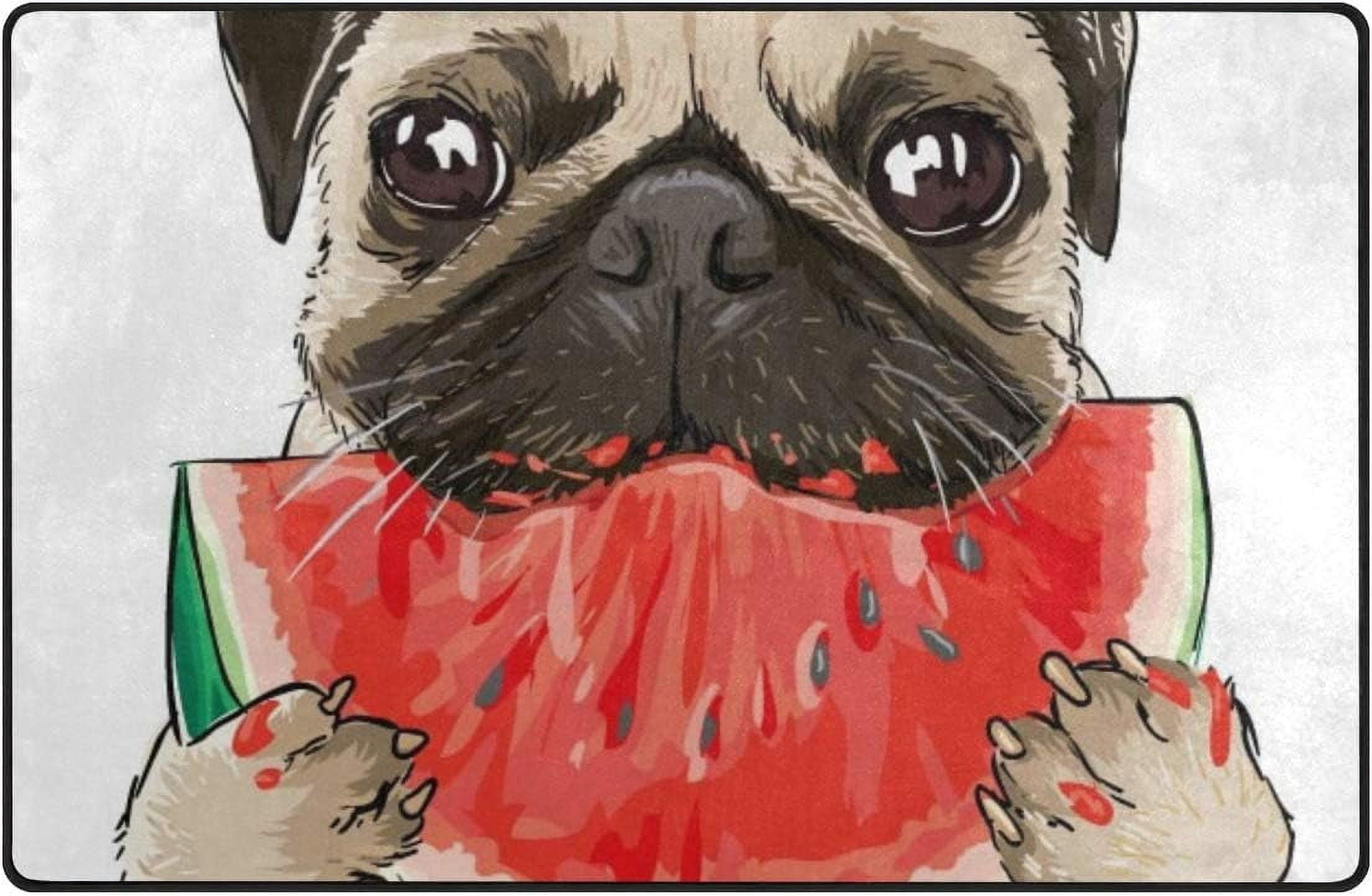 Coolnut Lightweight Soft Area Rugs 31x20 Inch, Funny Pug Dog Eating ...