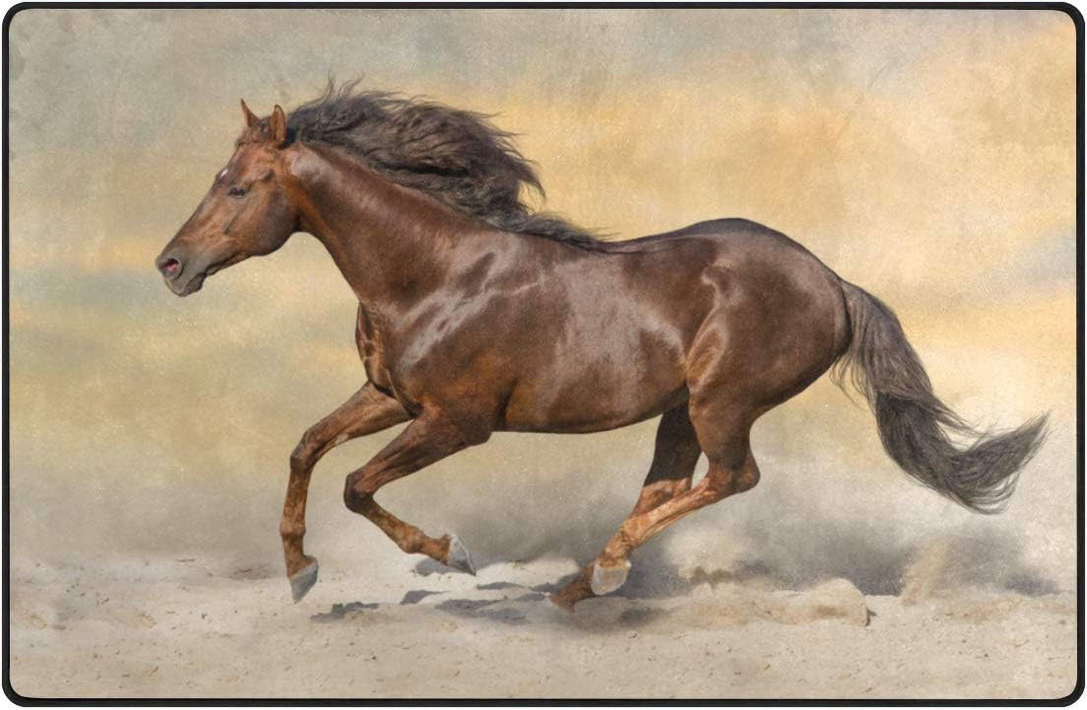 Coolnut Lightweight Soft Area Rugs 31x20 Inch, Horse Running Outside ...