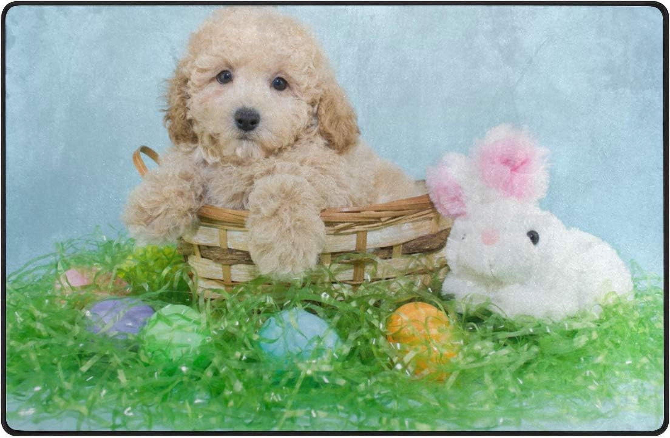 Coolnut Lightweight Soft Area Rugs 31x20 Inch, Poodle Puppy Sitting ...