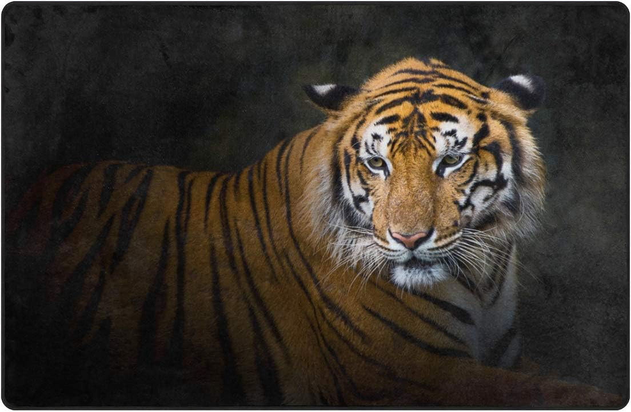 Coolnut Lightweight Soft Area Rugs 31x20 Inch, Tiger On The Dark Floor ...