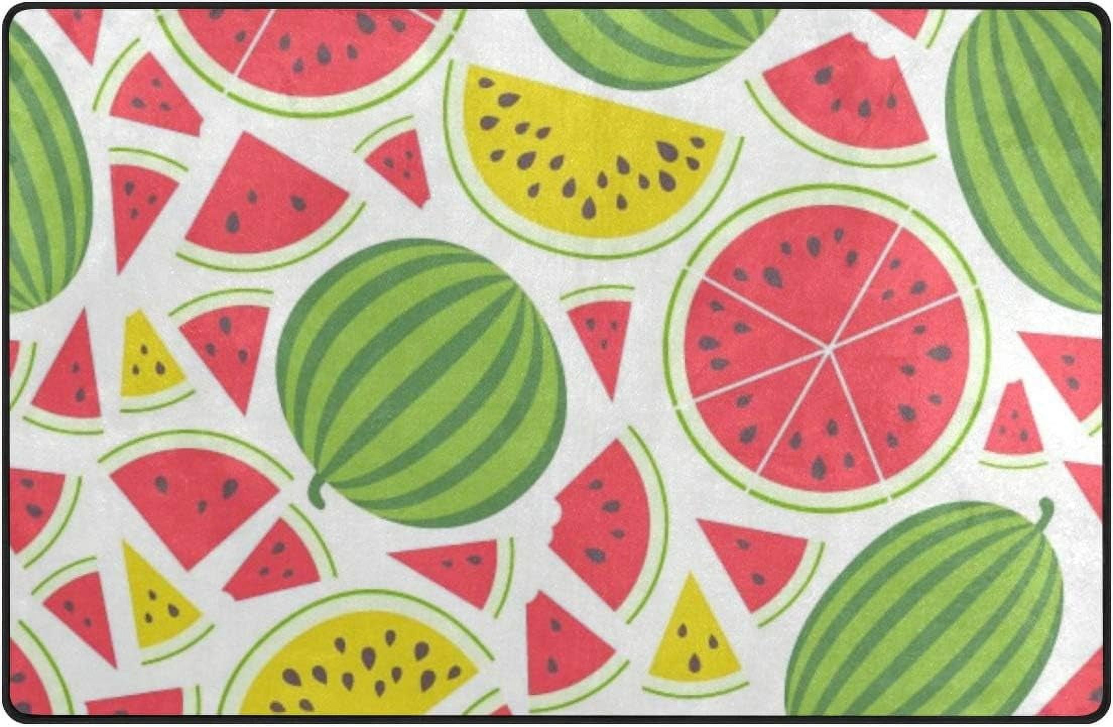Coolnut Lightweight Soft Area Rugs 31x20 Inch, Various Watermelons ...