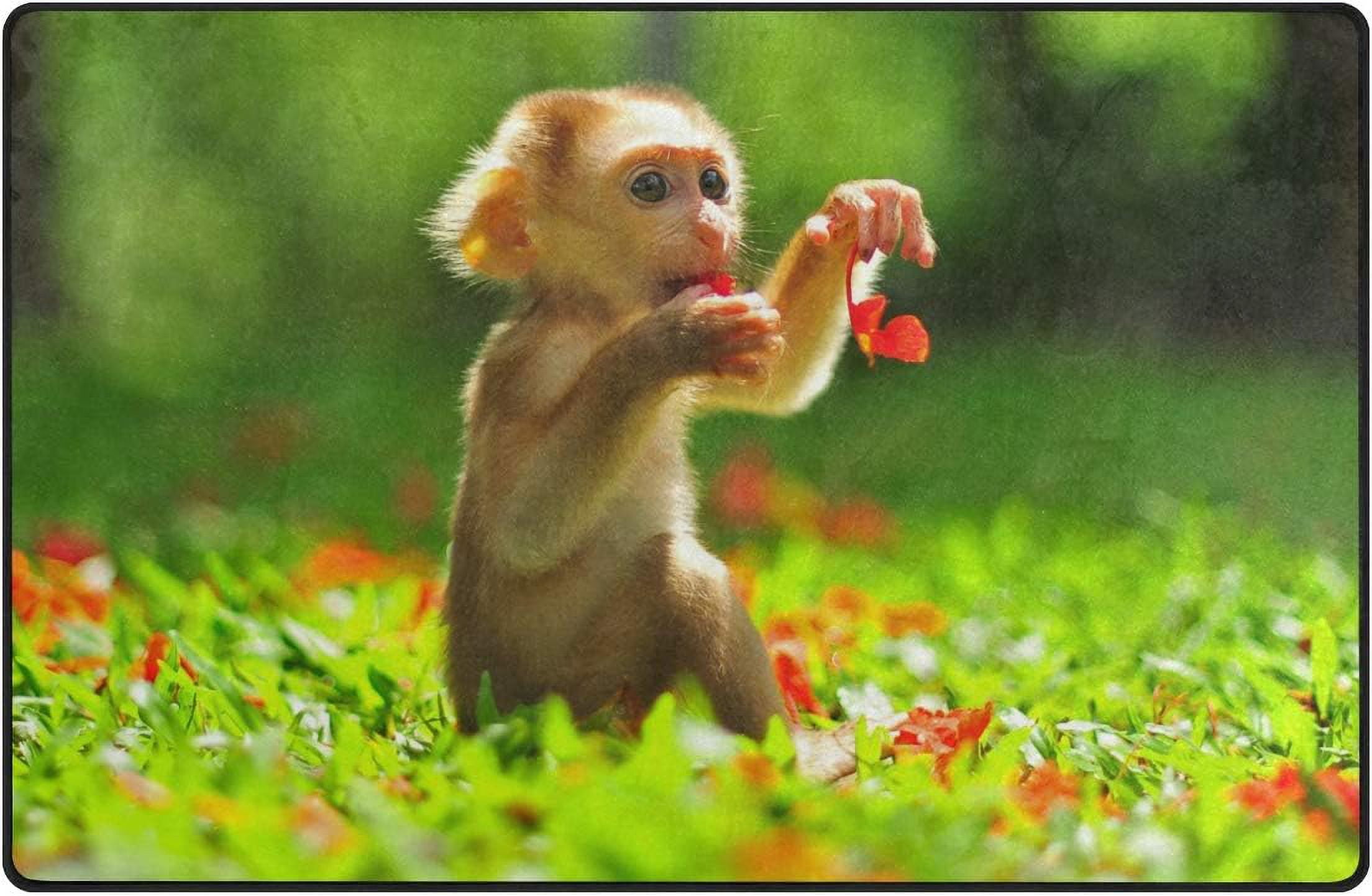 Coolnut Lightweight Soft Area Rugs 60 x 39 inch (5'x 3'3"), Baby Monkey ...