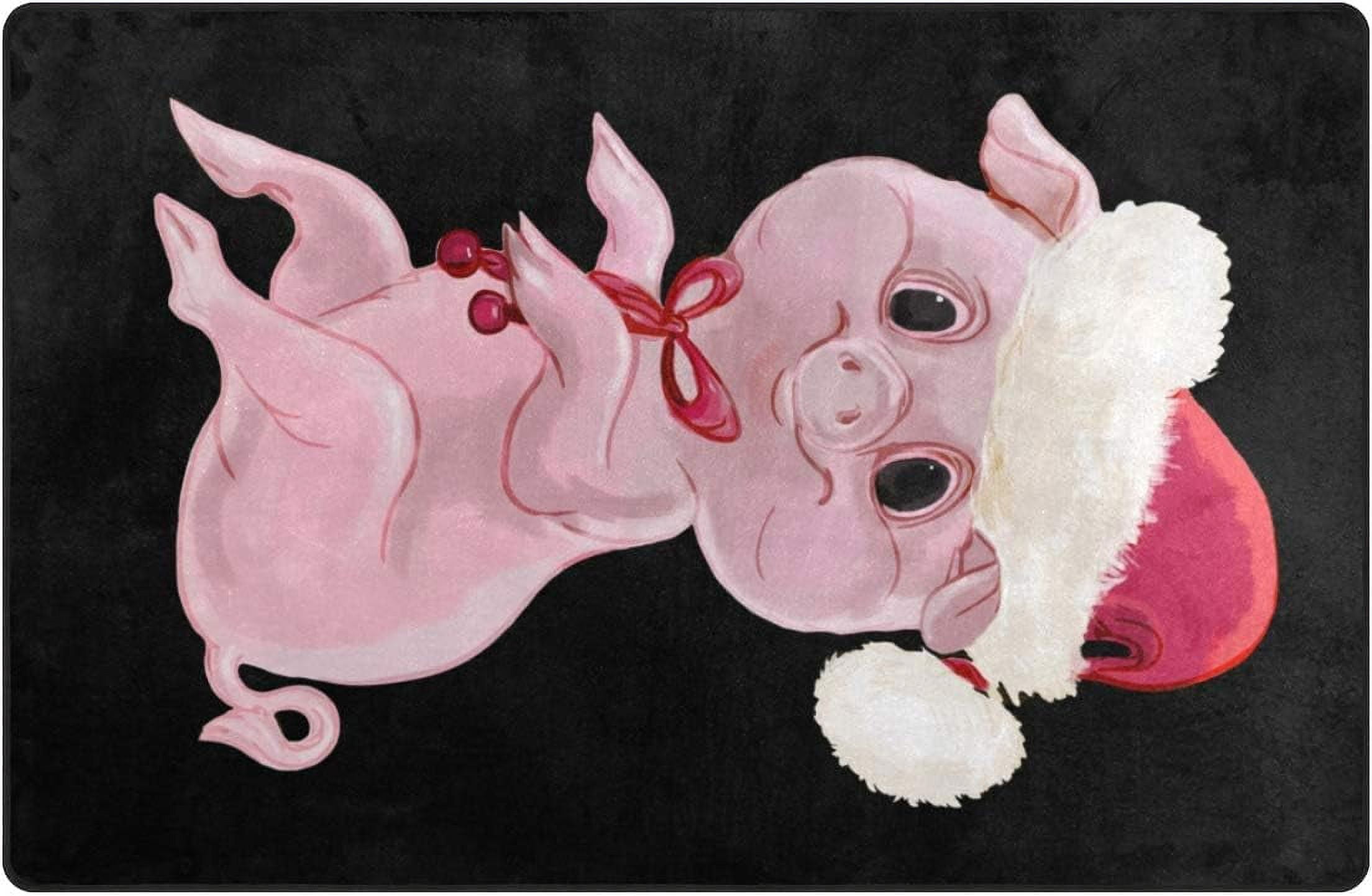 Coolnut Lightweight Soft Area Rugs 60 x 39 inch (5'x 3'3"), Cute New ...