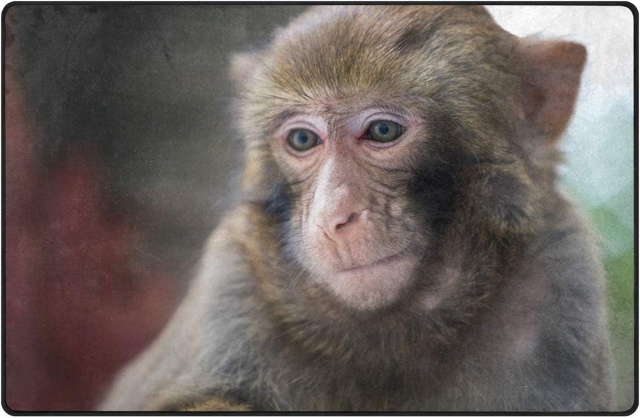 Coolnut Lightweight Soft Area Rugs 60 x 39 inch (5'x 3'3"), Cute Wild ...