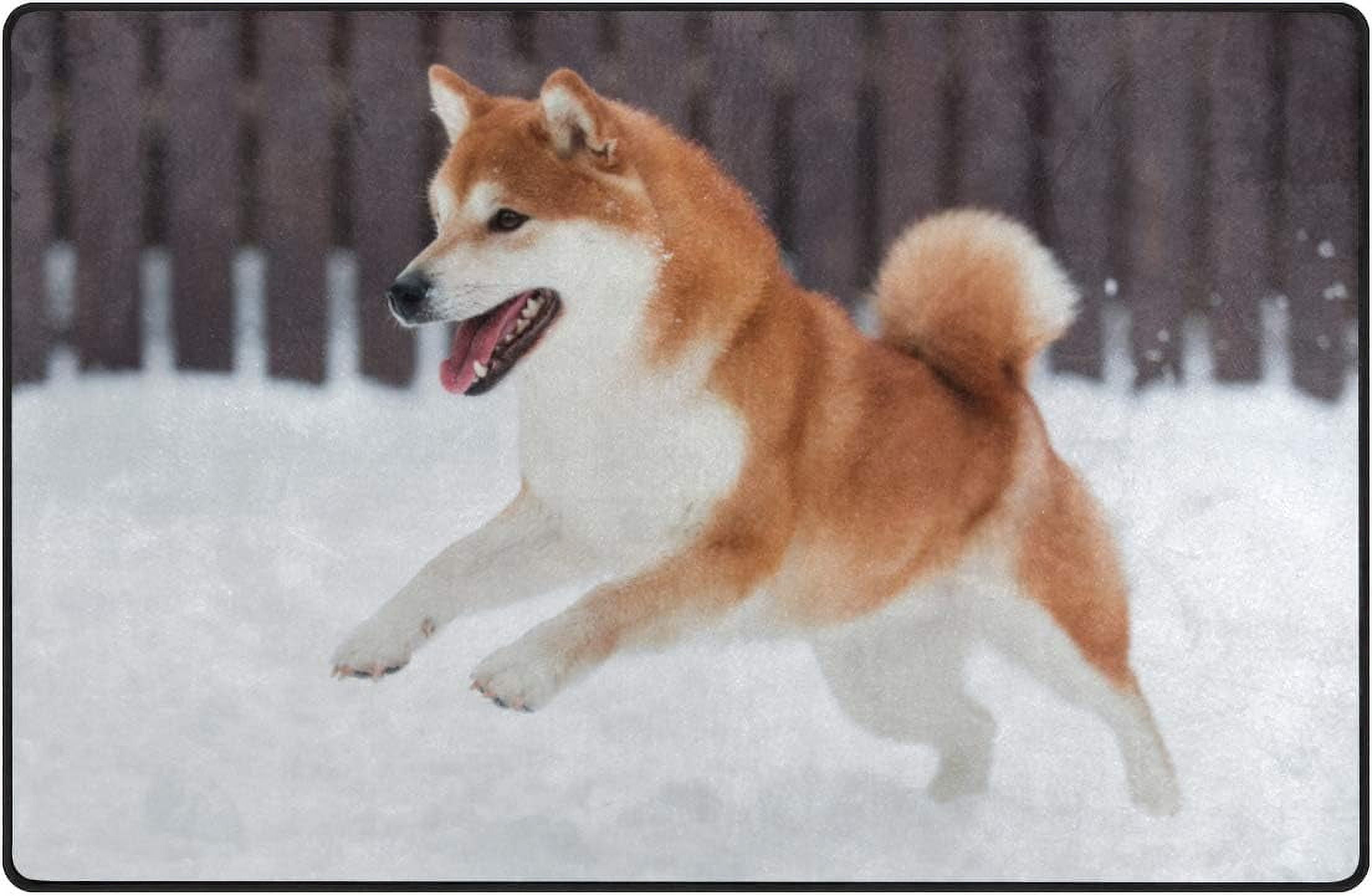 Coolnut Lightweight Soft Area Rugs 60 x 39 inch (5'x 3'3"), Dog On The ...