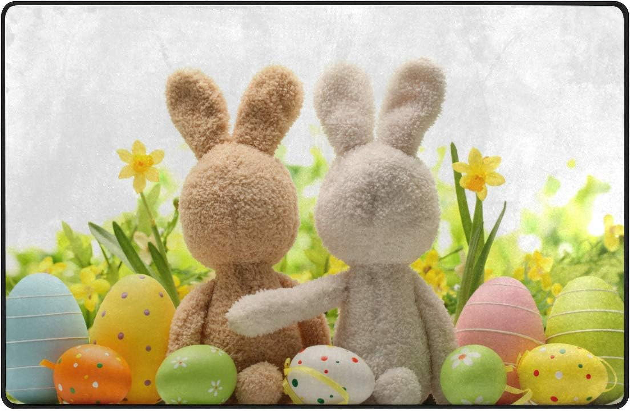 Coolnut Lightweight Soft Area Rugs 60 x 39 inch (5'x 3'3"), Easter ...