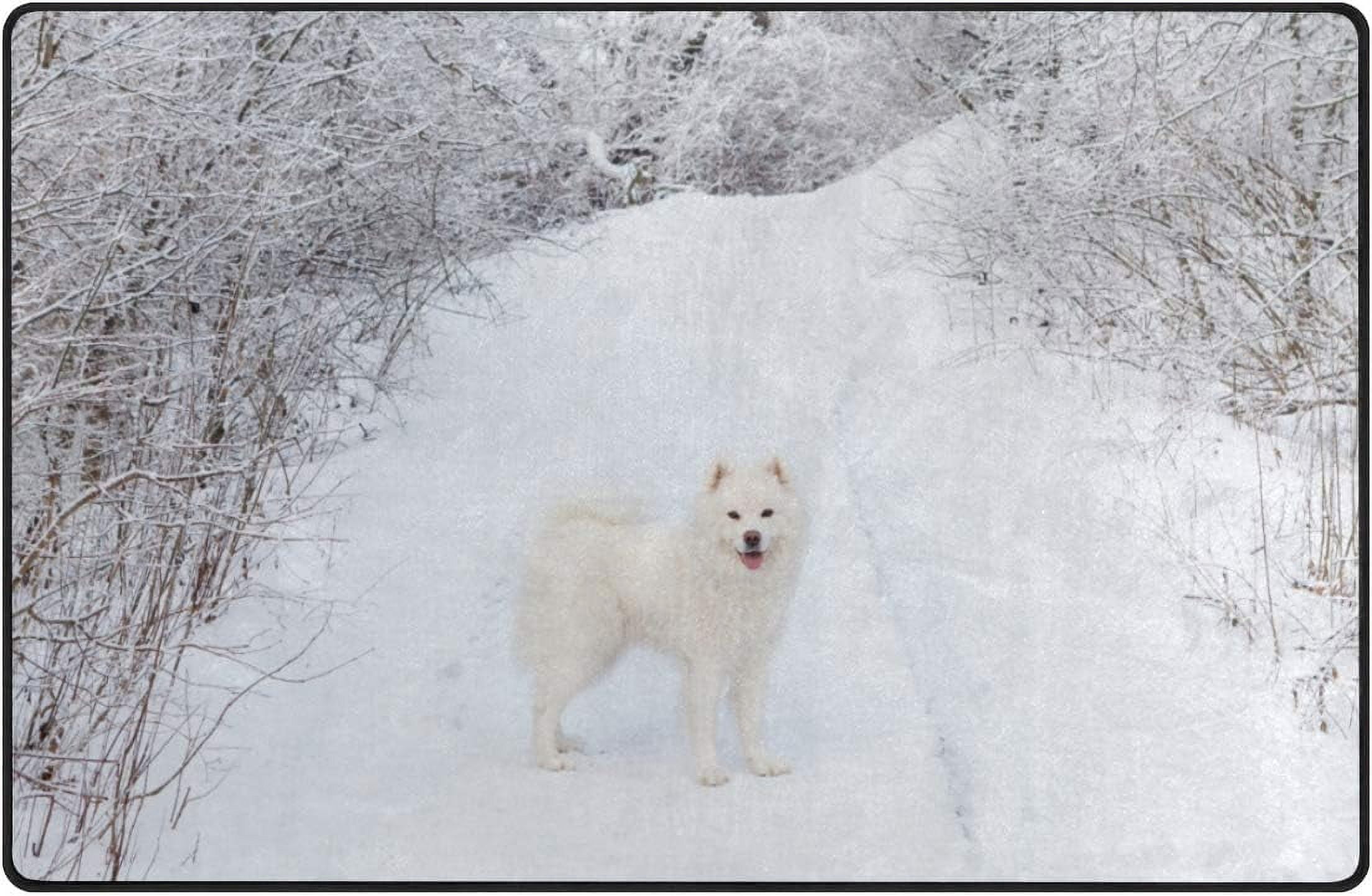 Coolnut Lightweight Soft Area Rugs 60 x 39 inch (5'x 3'3"), Fluffy ...