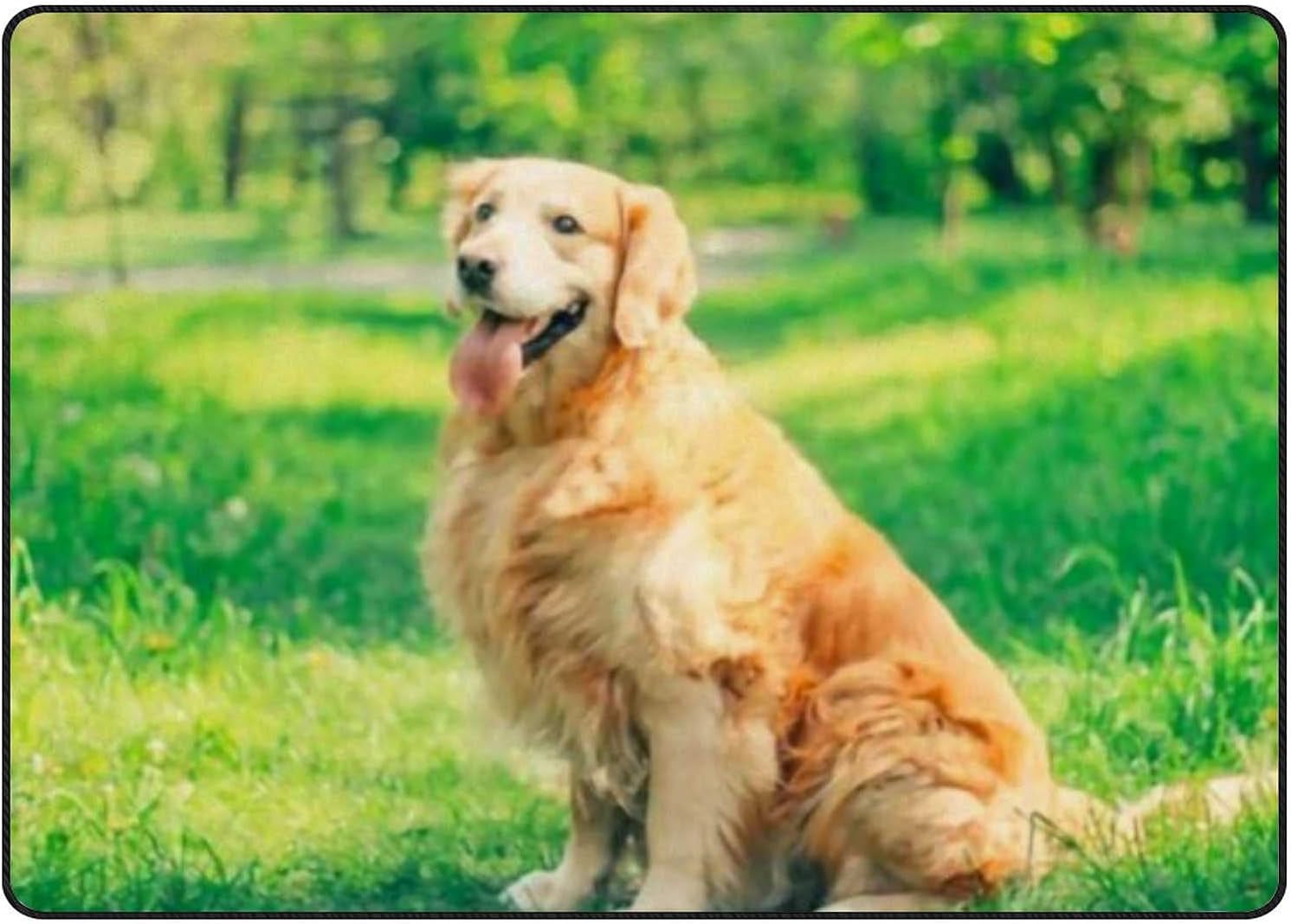 Coolnut Lightweight Soft Area Rugs 60 x 39 inch (5'x 3'3"), Golden ...