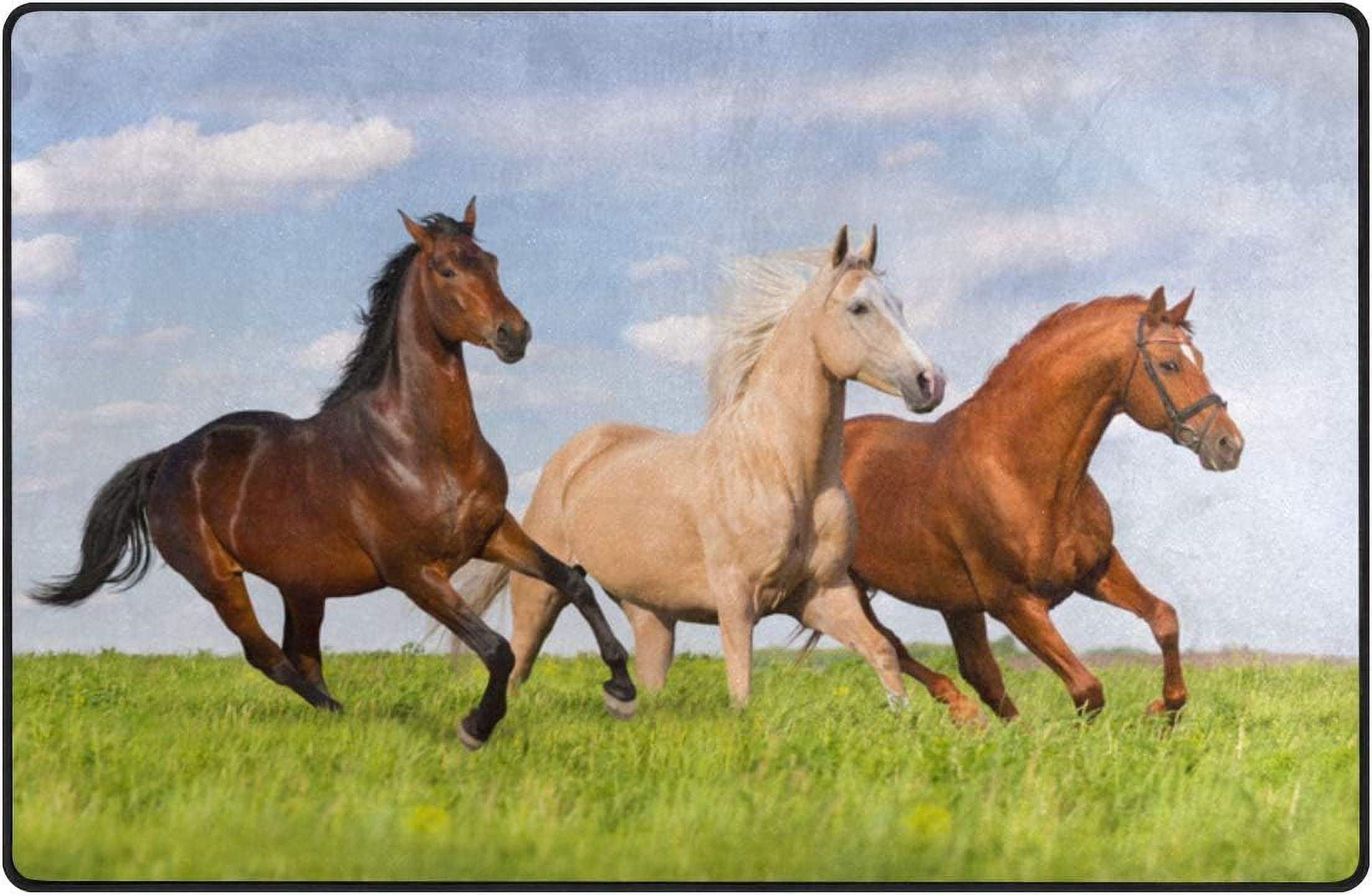Coolnut Lightweight Soft Area Rugs 60 x 39 inch (5'x 3'3"), Horses ...