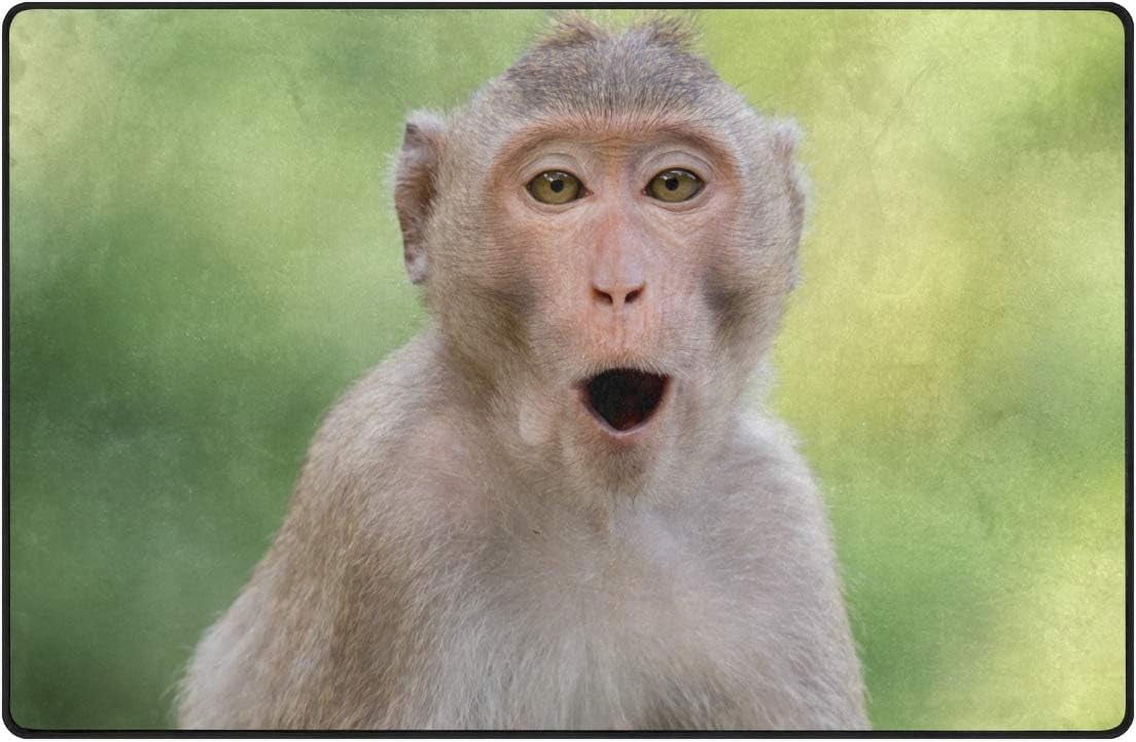 Coolnut Lightweight Soft Area Rugs 60 x 39 inch (5'x 3'3"), Monkey ...