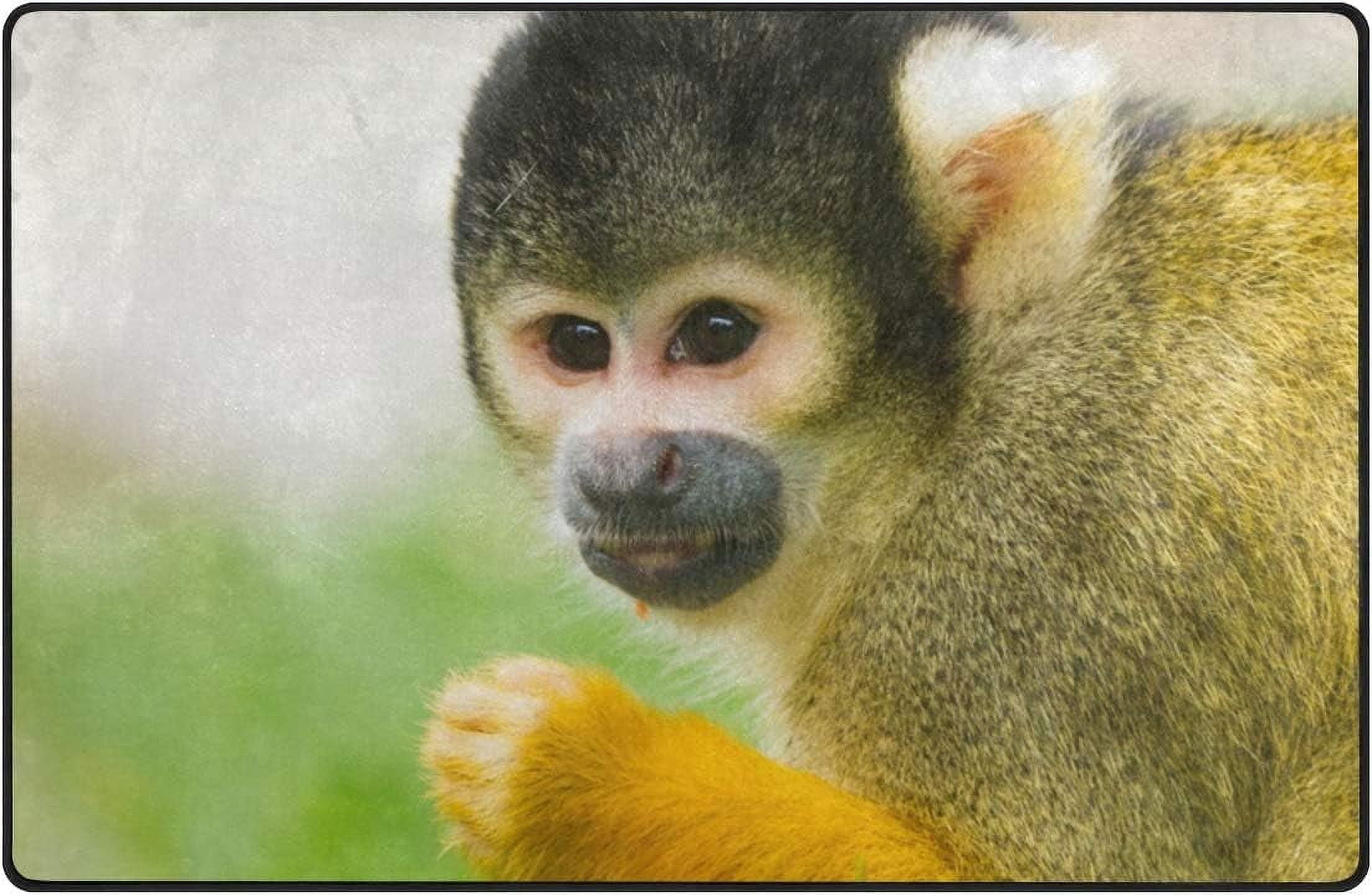 Coolnut Lightweight Soft Area Rugs 60 x 39 inch (5'x 3'3"), Squirrel ...