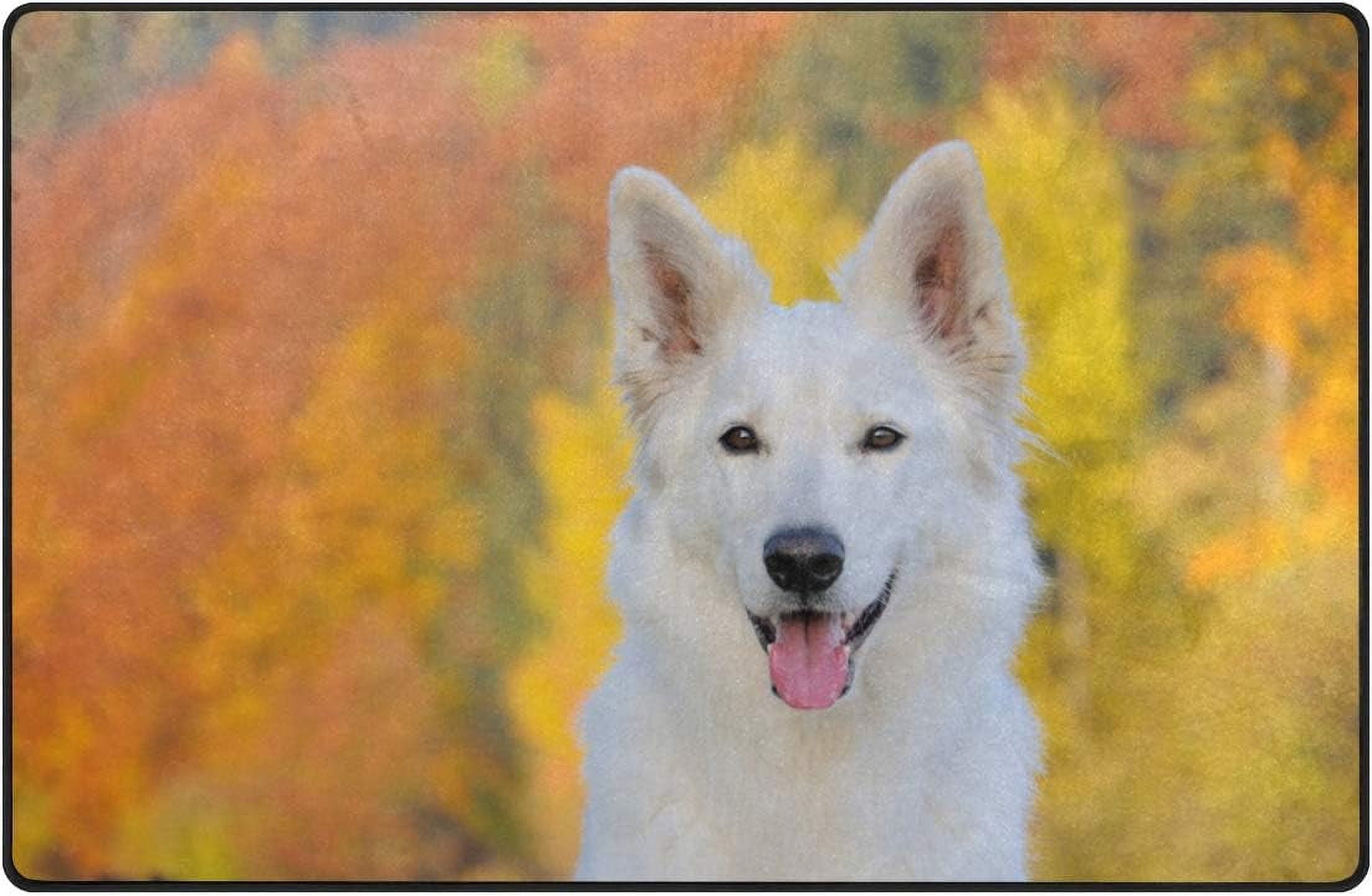 Coolnut Lightweight Soft Area Rugs 60 x 39 inch (5'x 3'3"), White Swiss ...