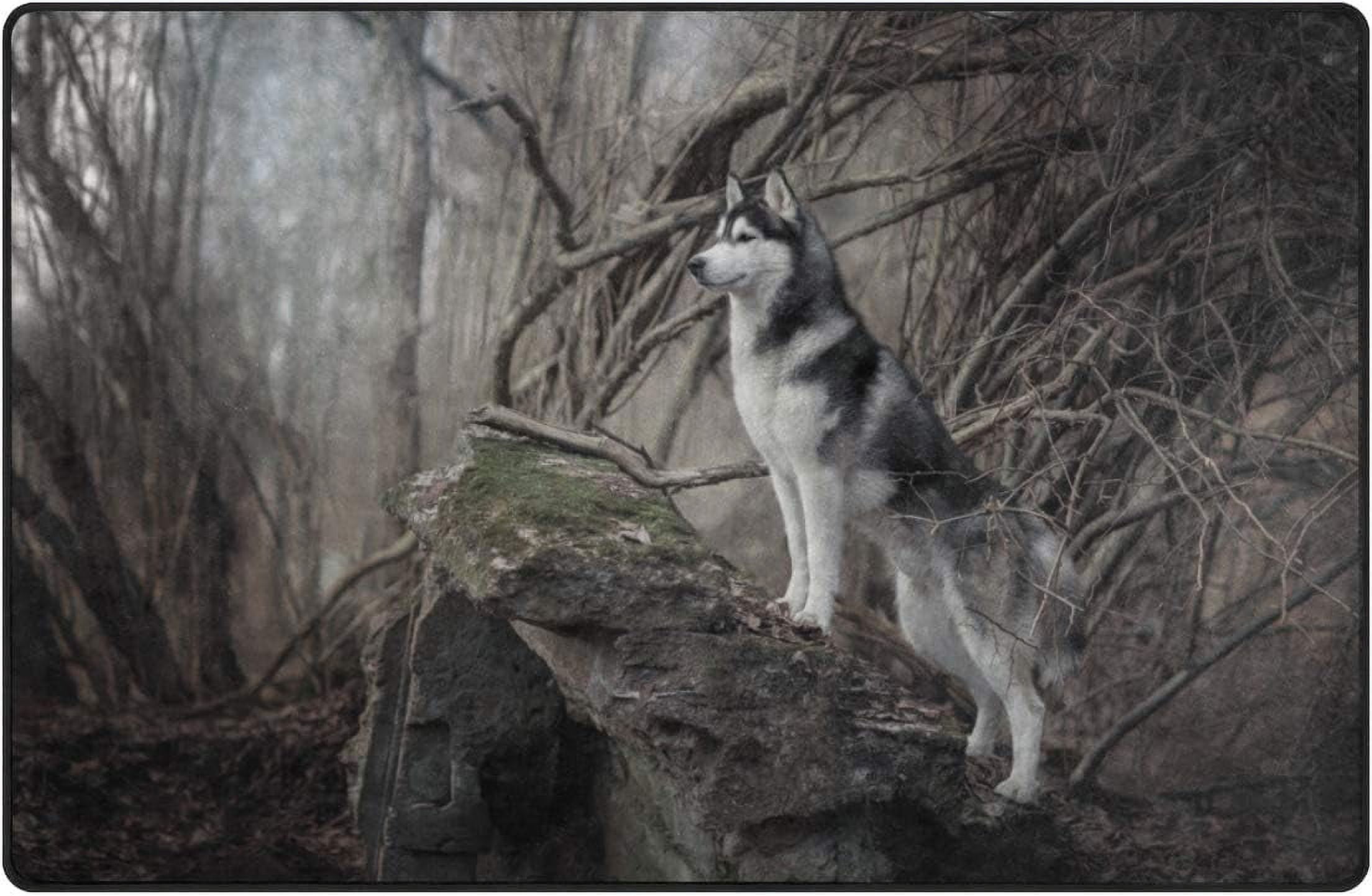 Coolnut Lightweight Soft Area Rugs 60 x 39 inch (5'x 3'3"), Wolf ...