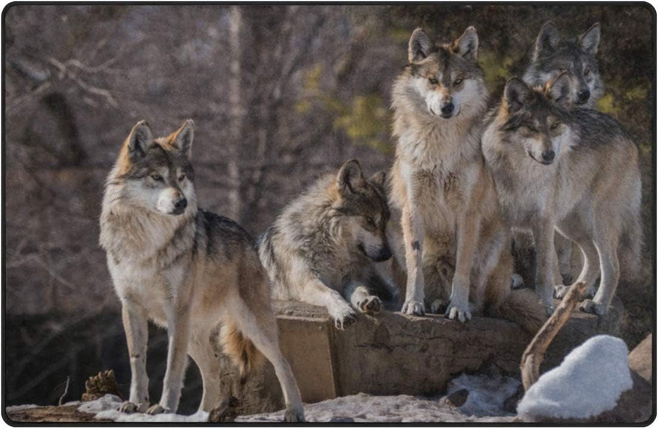 Coolnut Lightweight Soft Area Rugs 60 x 39 inch (5'x 3'3"), Wolves Herd ...