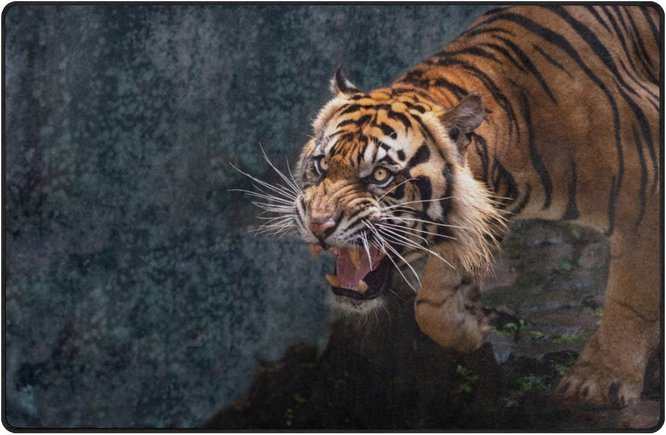 Coolnut Lightweight Soft Area Rugs 60x39 inch, Walking Tiger Floor Mat ...