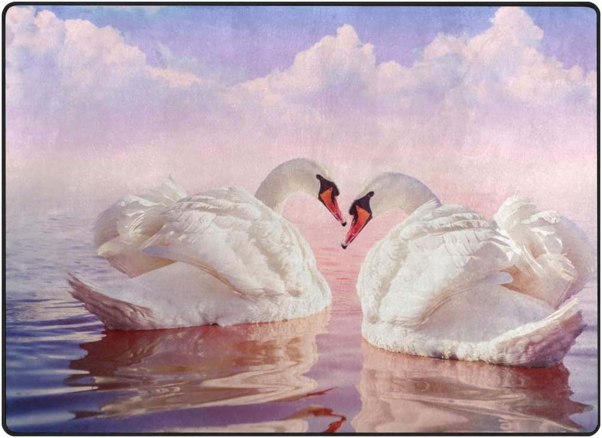 Coolnut Lightweight Soft Area Rugs 63 x 48 in, Couple of Beautiful ...