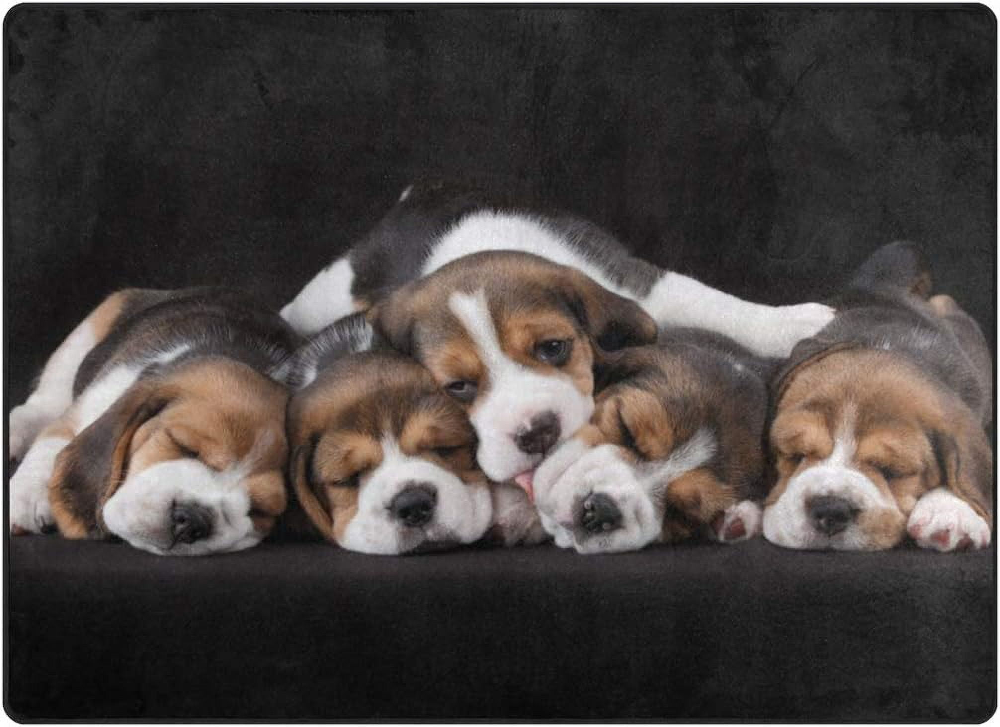 Coolnut Lightweight Soft Area Rugs 63 x 48 in, Dogs Sleeping Floor Mat ...