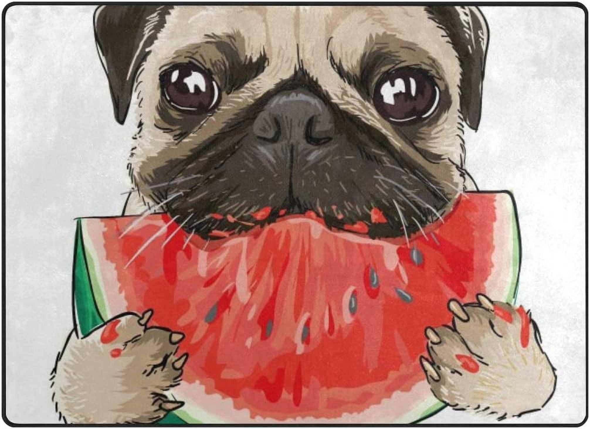 Coolnut Lightweight Soft Area Rugs 63 x 48 in, Funny Pug Dog Eating ...