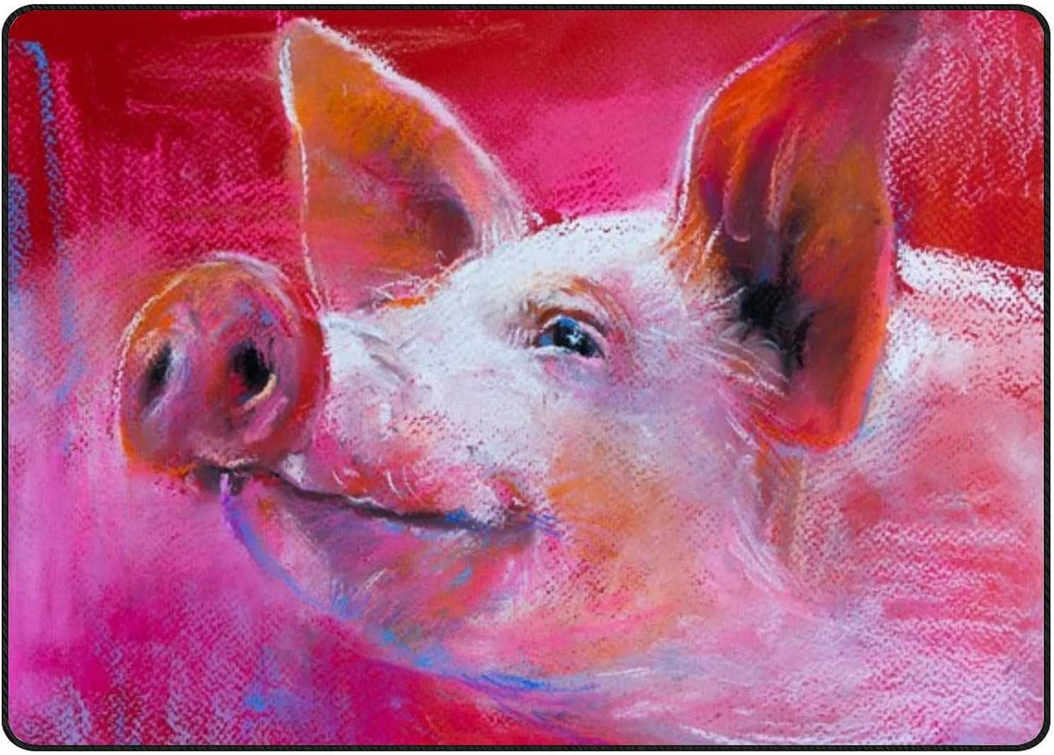 Coolnut Lightweight Soft Area Rugs 63 x 48 in, Modern Art Painting Pig ...