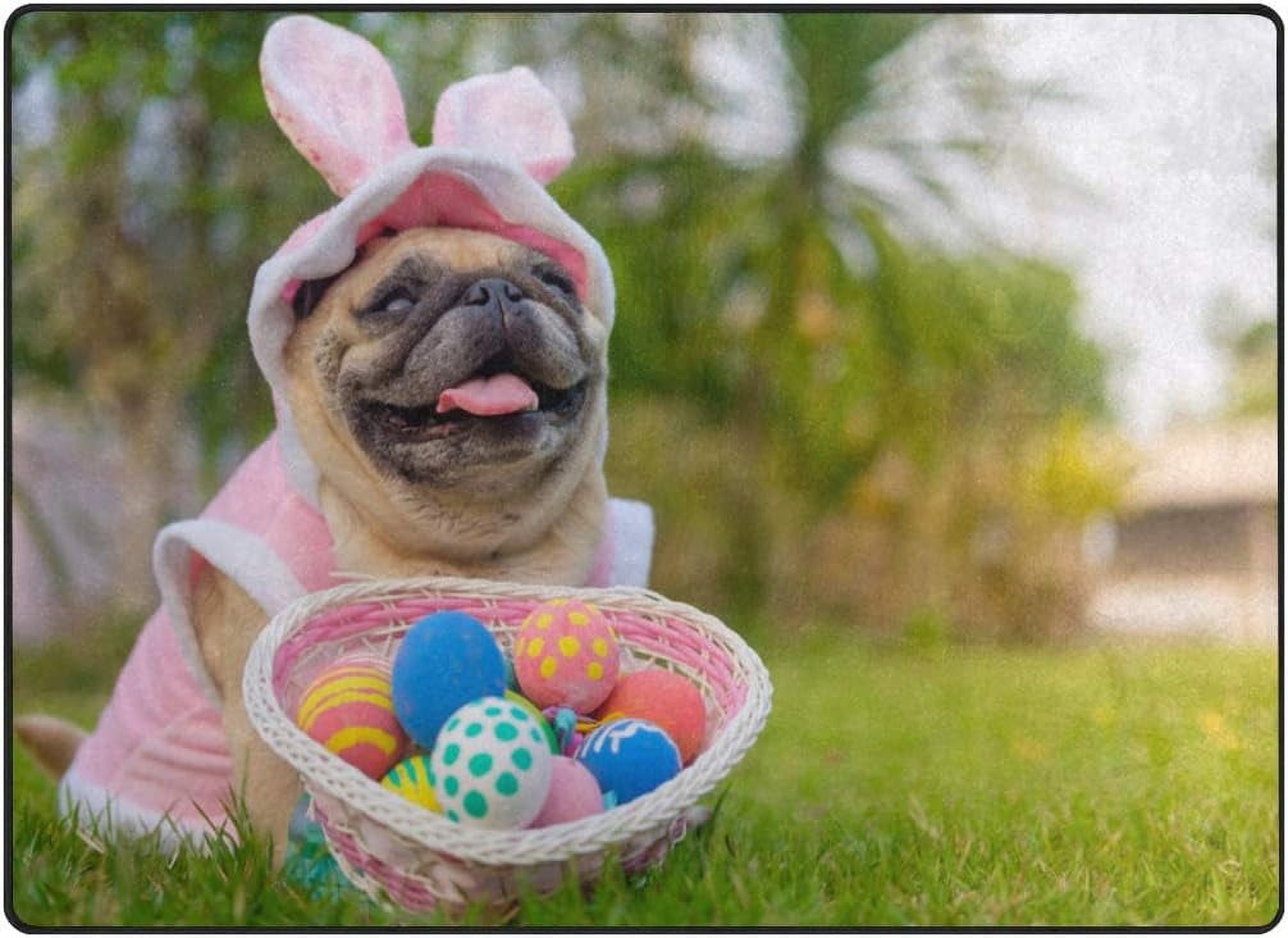 Coolnut Lightweight Soft Area Rugs 63 x 48 in, Pug Dog Wearing Rabbit ...